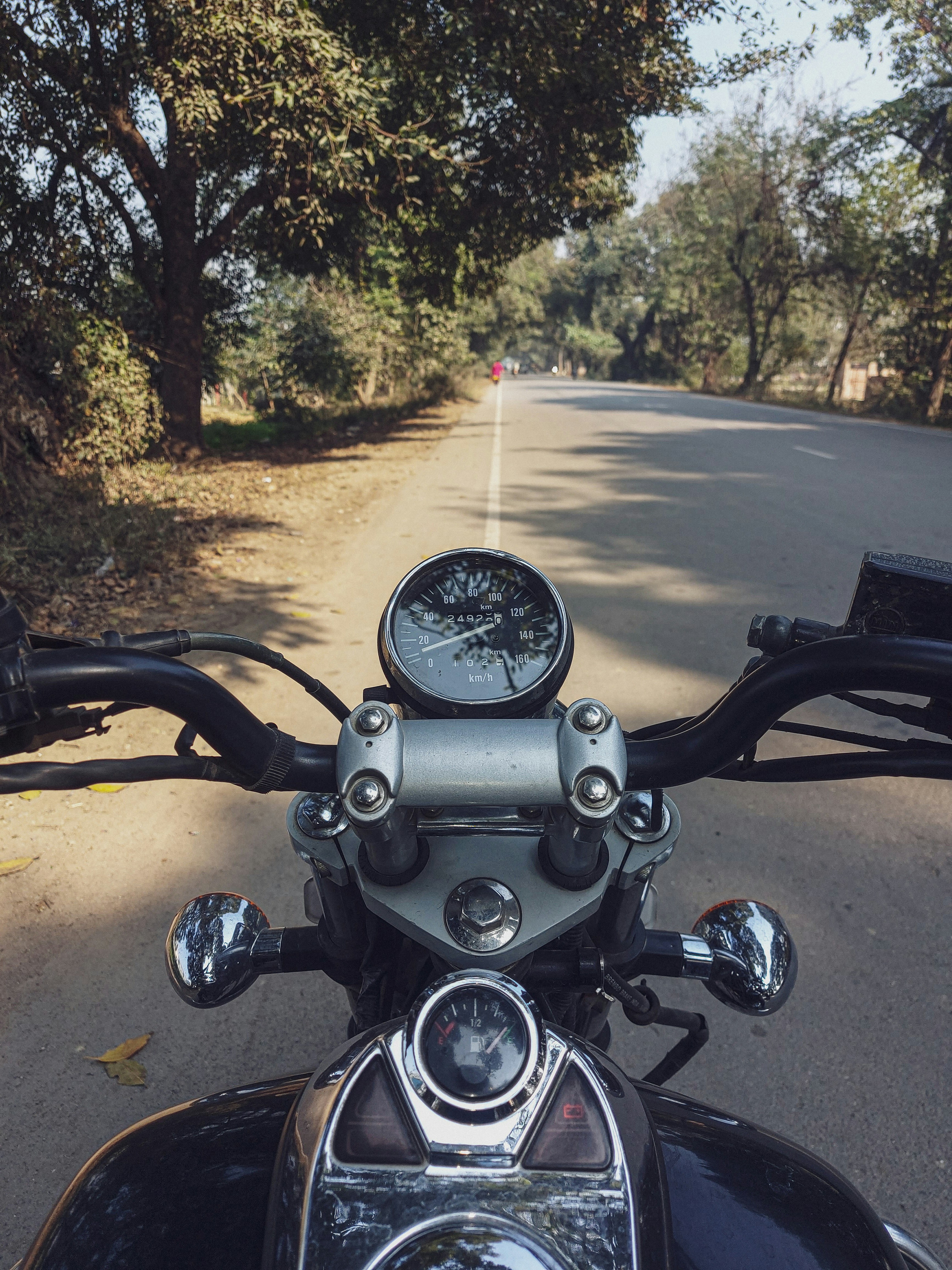 Motorcycle handlebars and speedometer viewed from the rider's perspective, with a winding road ahead framed by trees. 