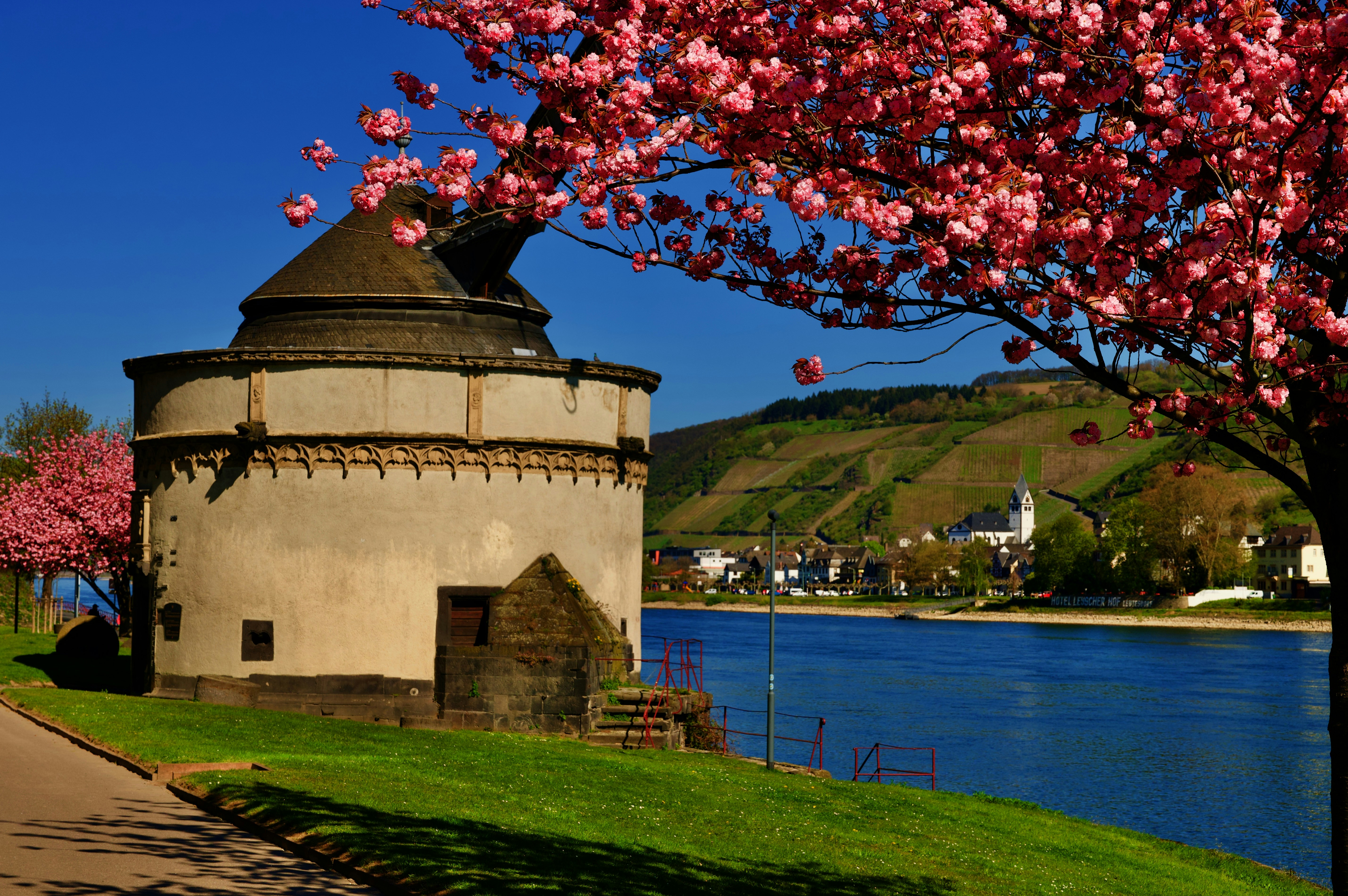 Whispers of Spring by the River