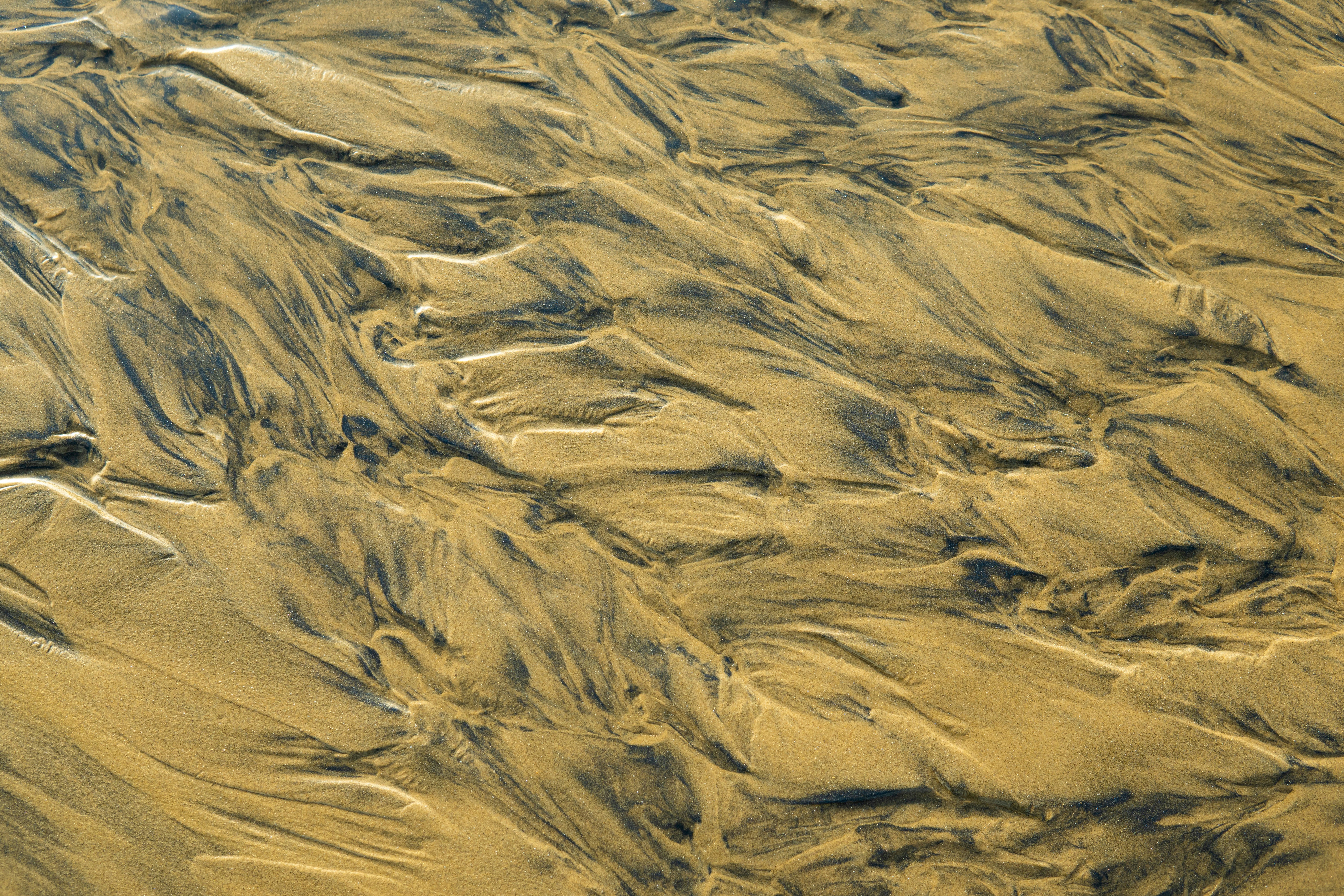 A sandy beach covered in lots of sand photo – Free Nature Image on Unsplash