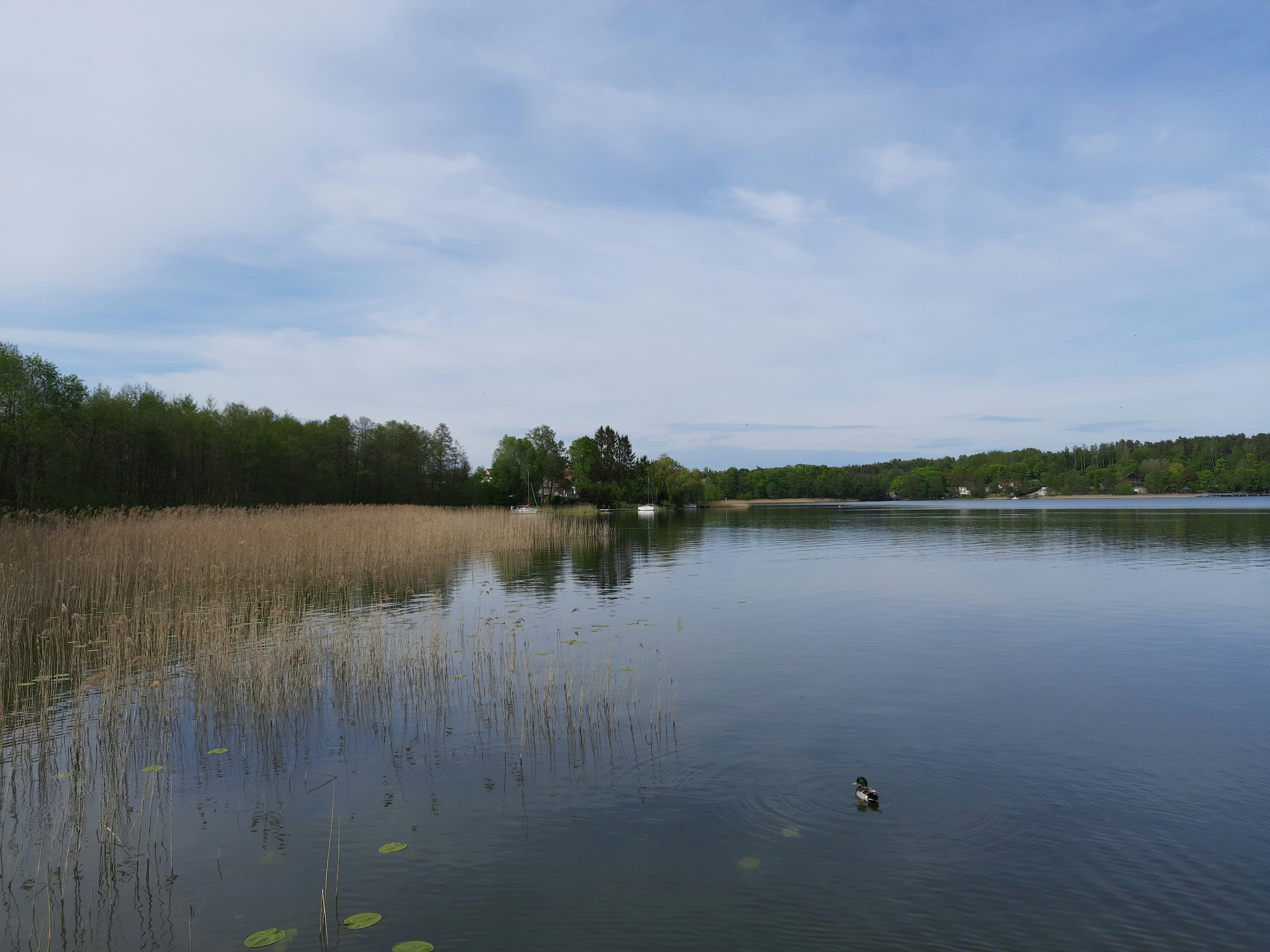 taken on 19 may 2022