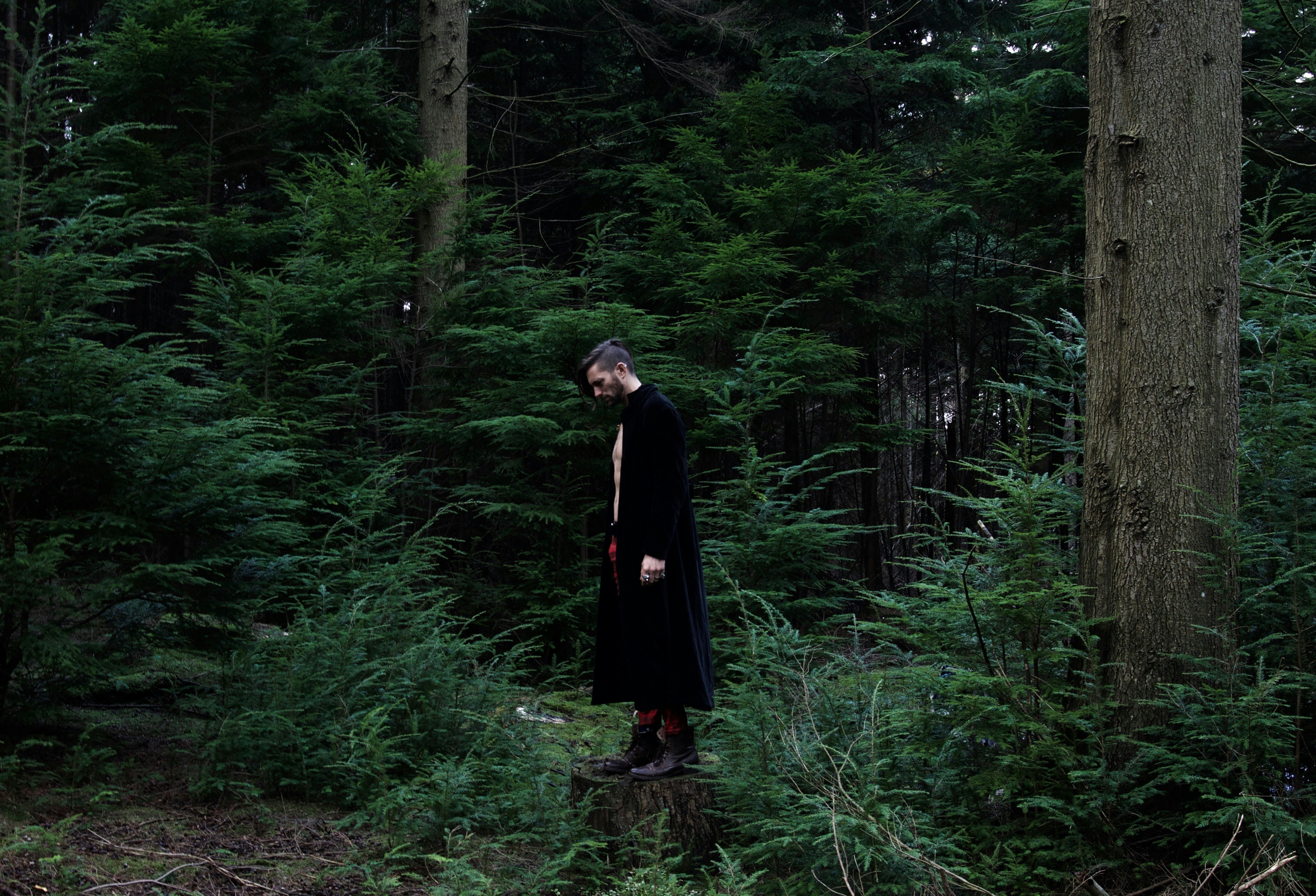 Forest Man Pictures | Download Free Images on Unsplash