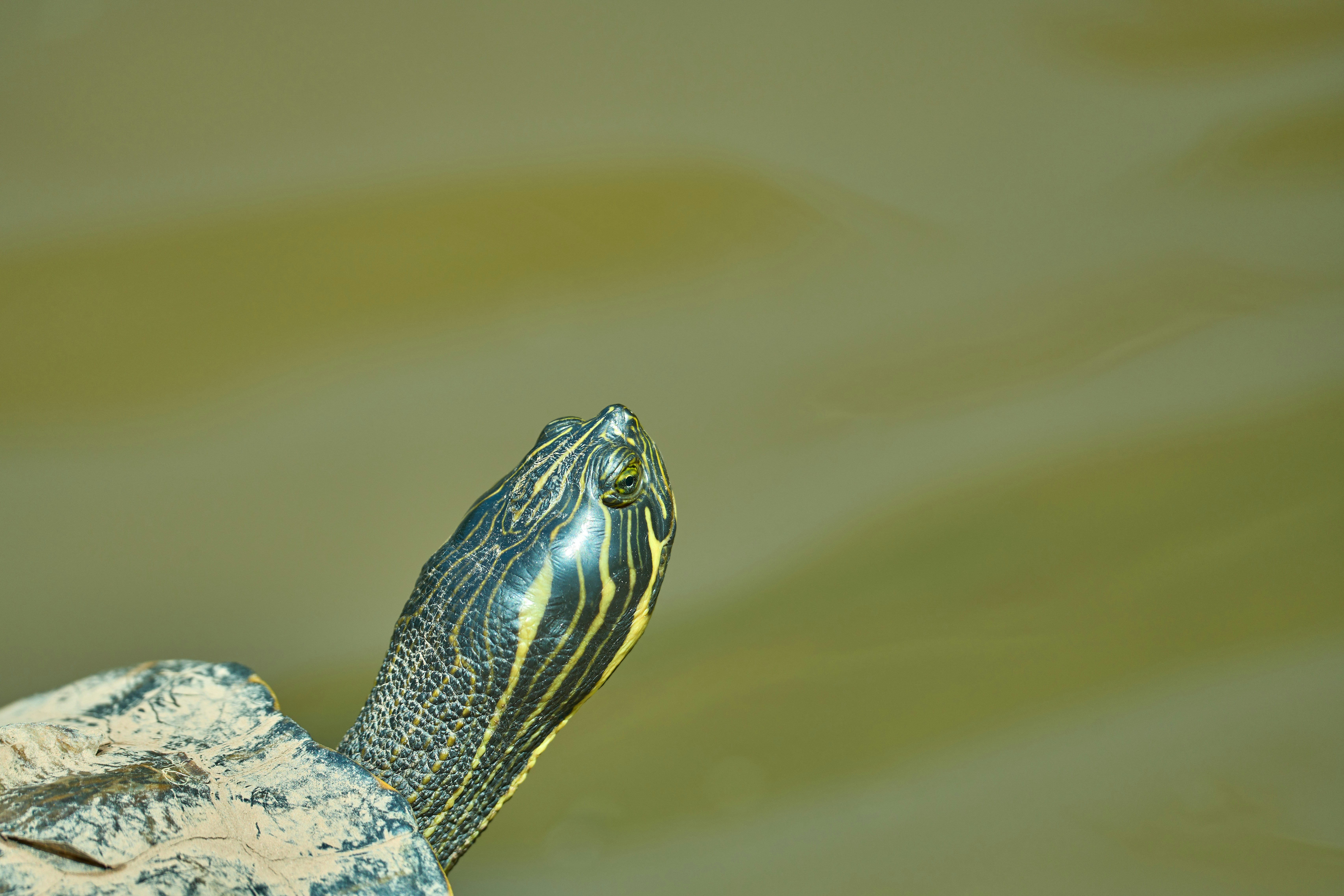 Photo by Wolfgang Hasselmann with Sony Alpha 7 IV