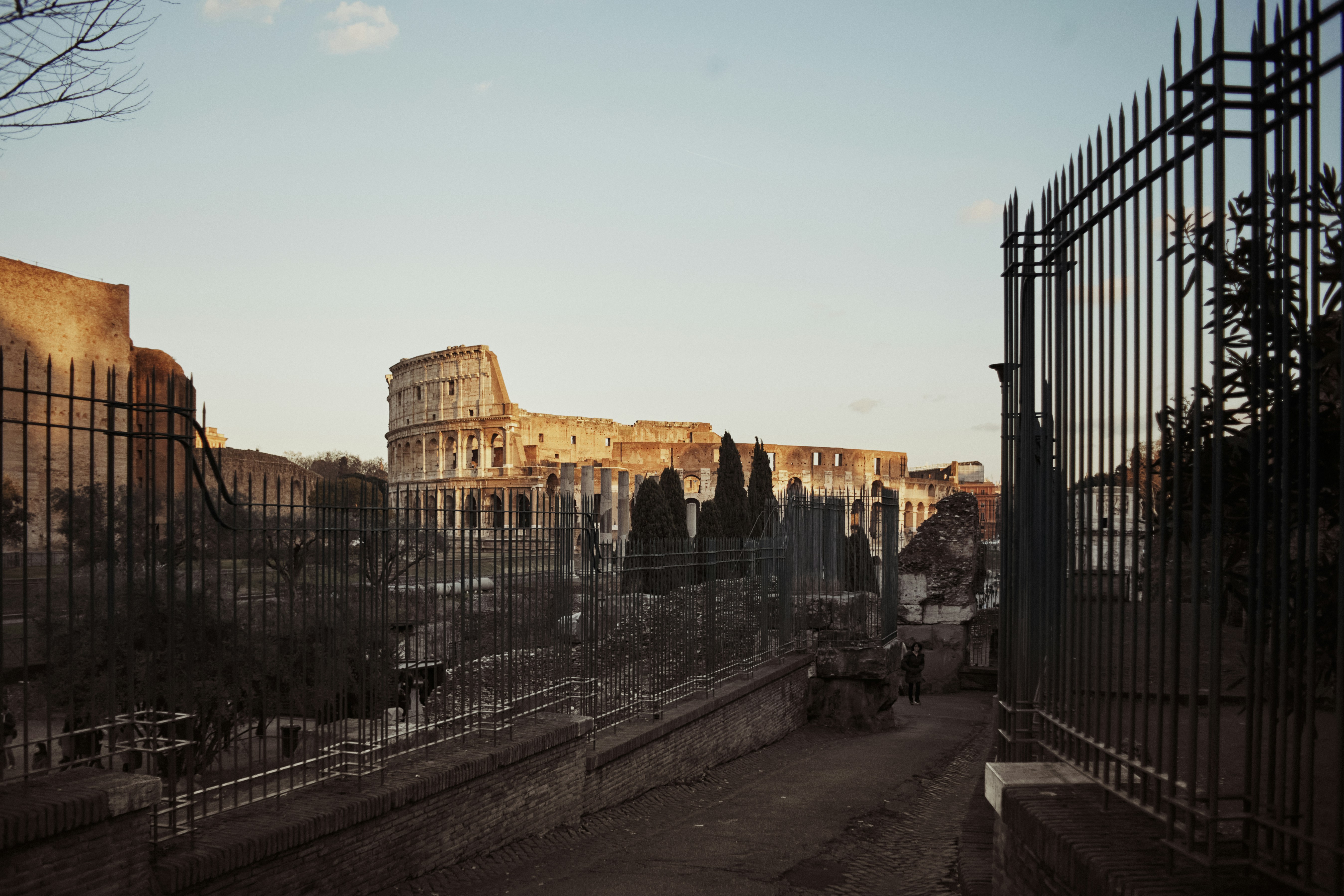 Colosseum with morning light in the summertime