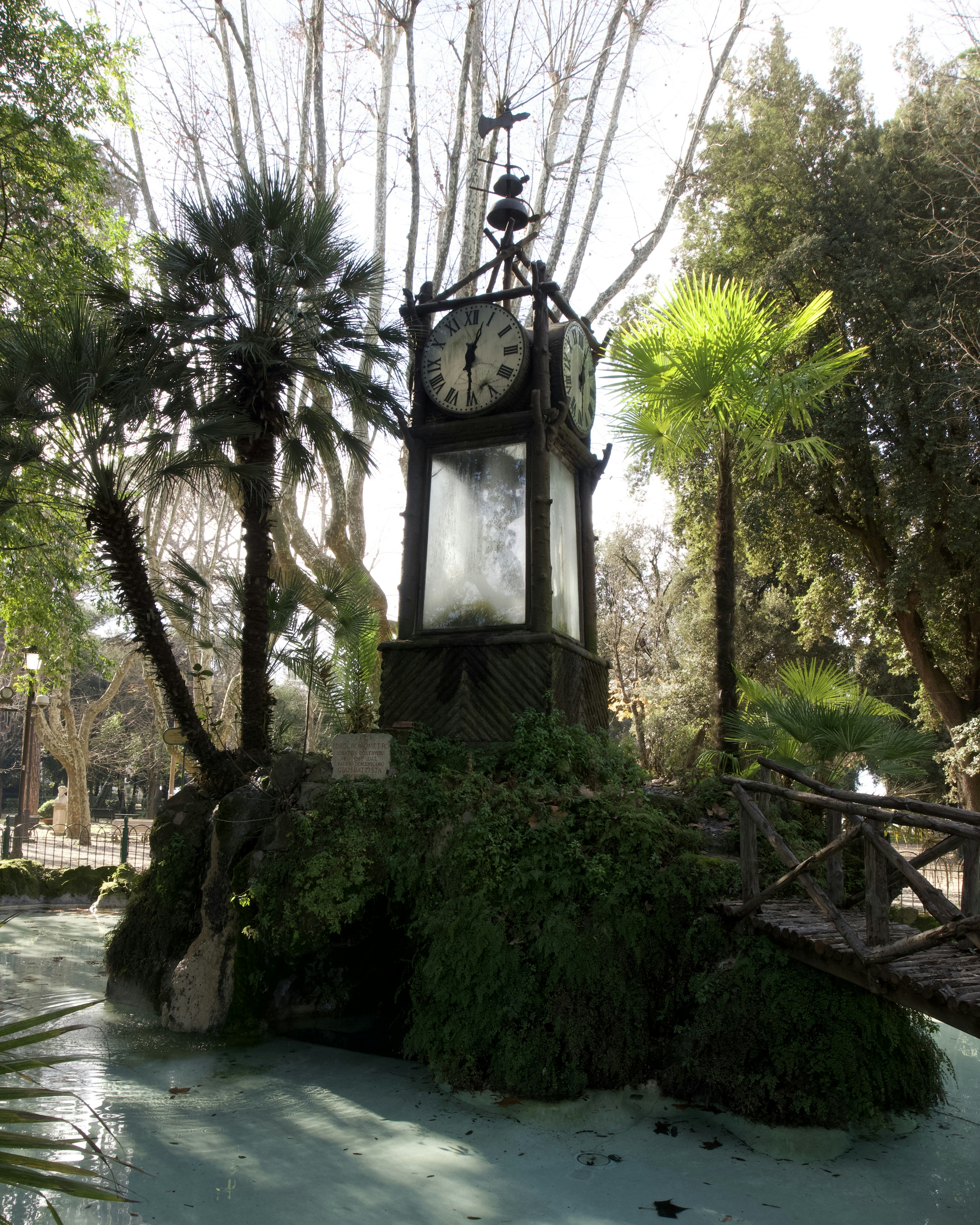 Verdant Timekeeper: A Clocktower Quietly Guarded by Trees