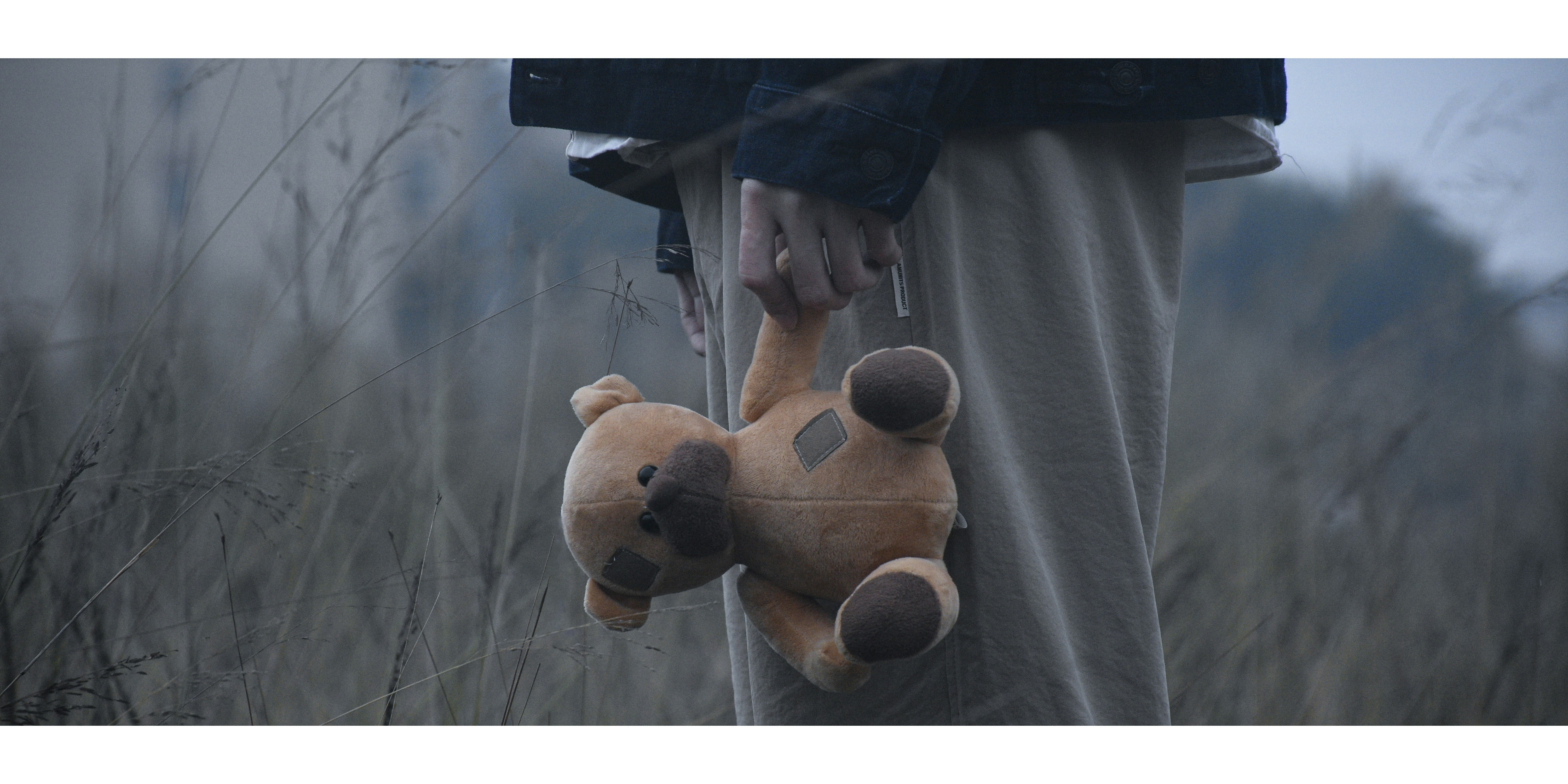 A person holding a stuffed animal in a field photo – Free Adult Image ...