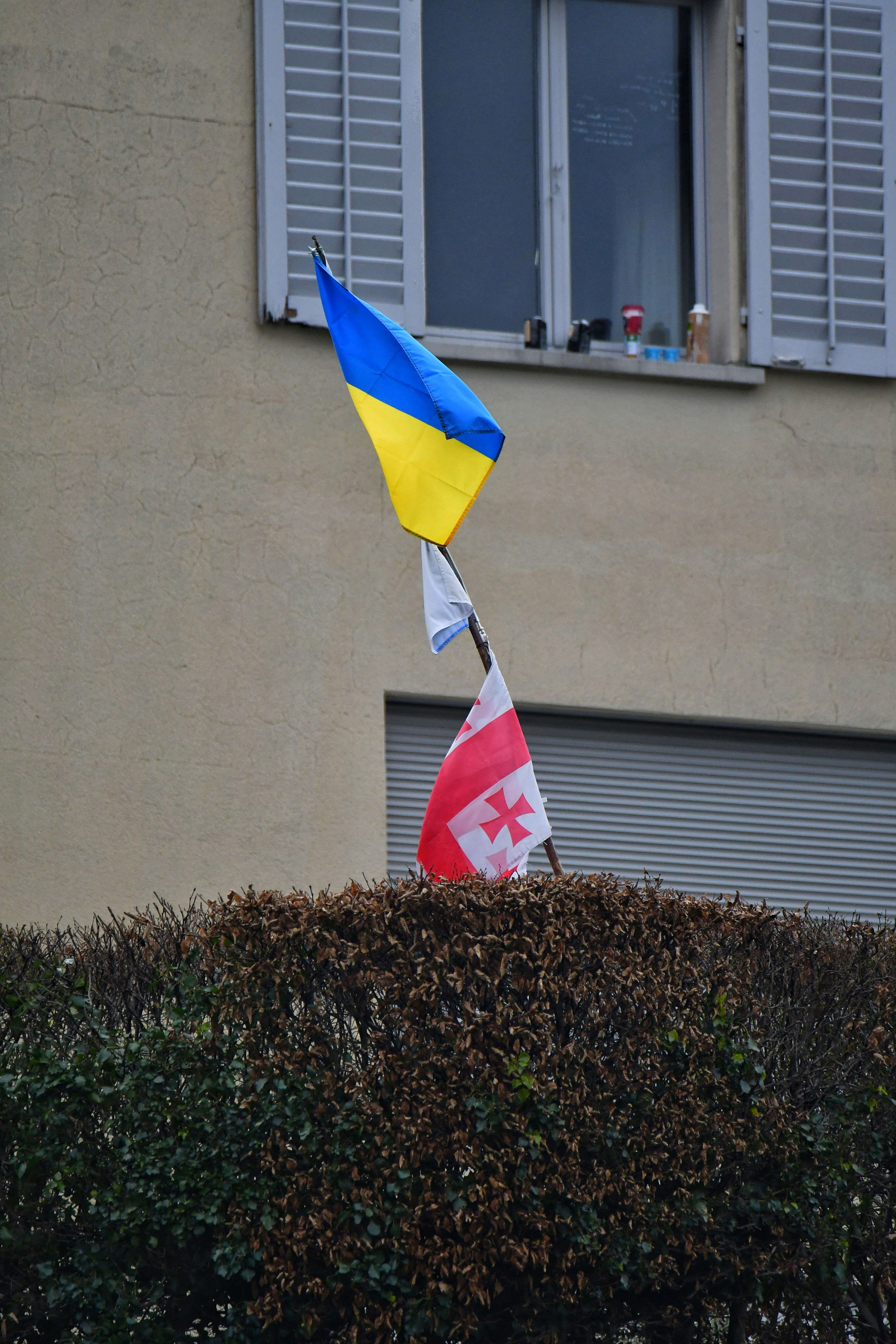 Two flags sticking out of a hedge next to a building photo – Free Flag ...