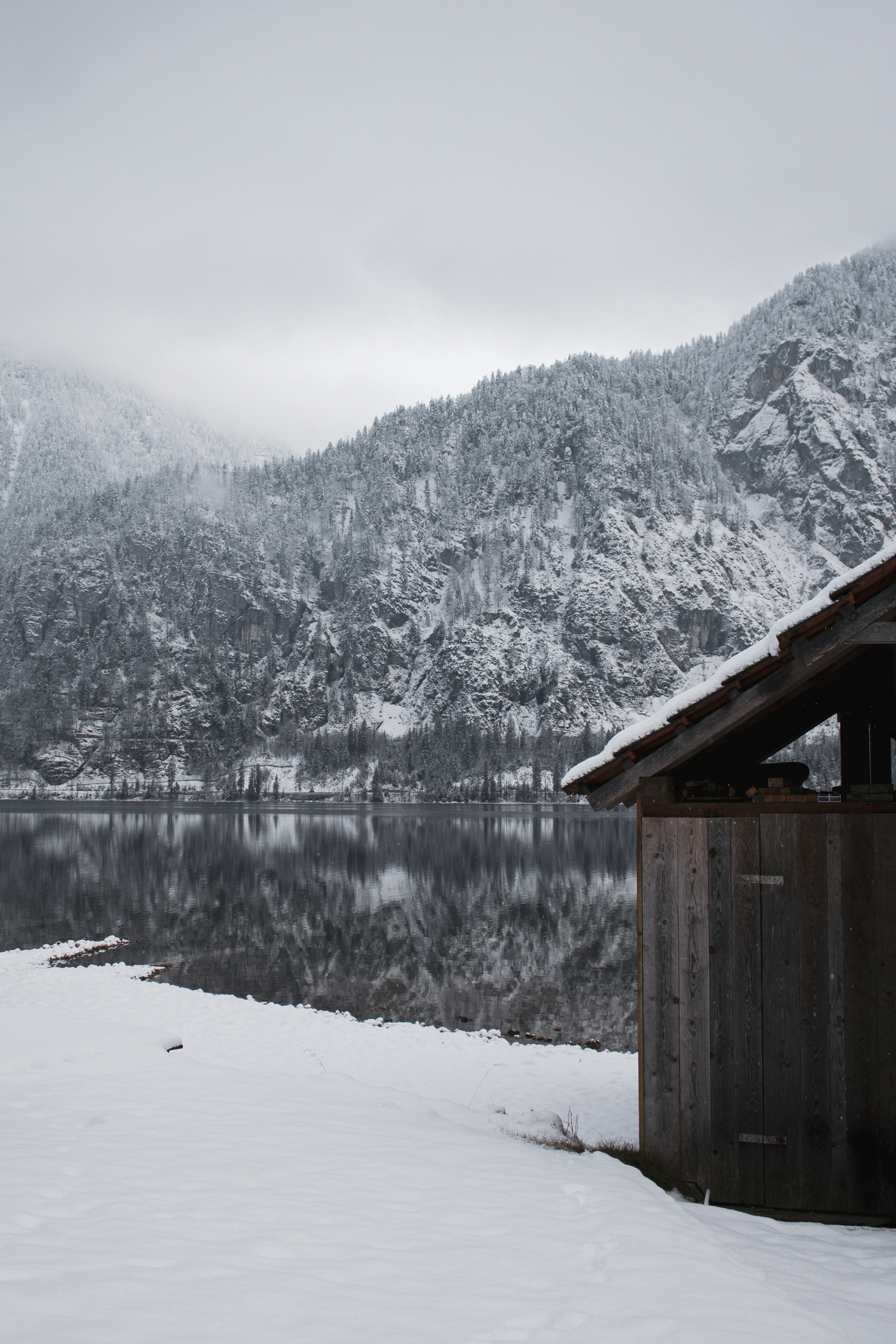 Snowbound Lakefront with Quiet Cabin by the Reflective Shoreline