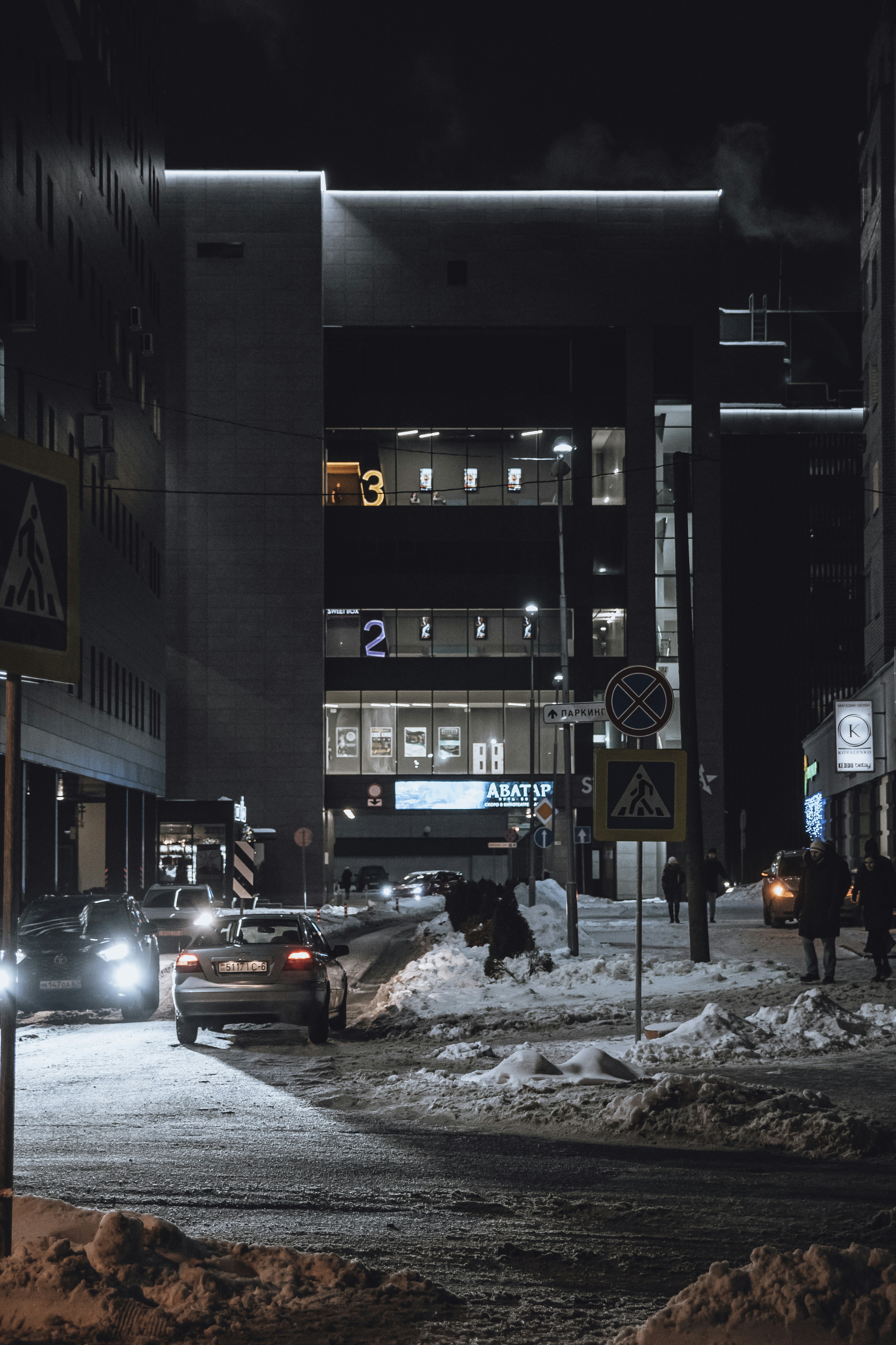 Nocturnal Snowfall Toward a Neon Atrium