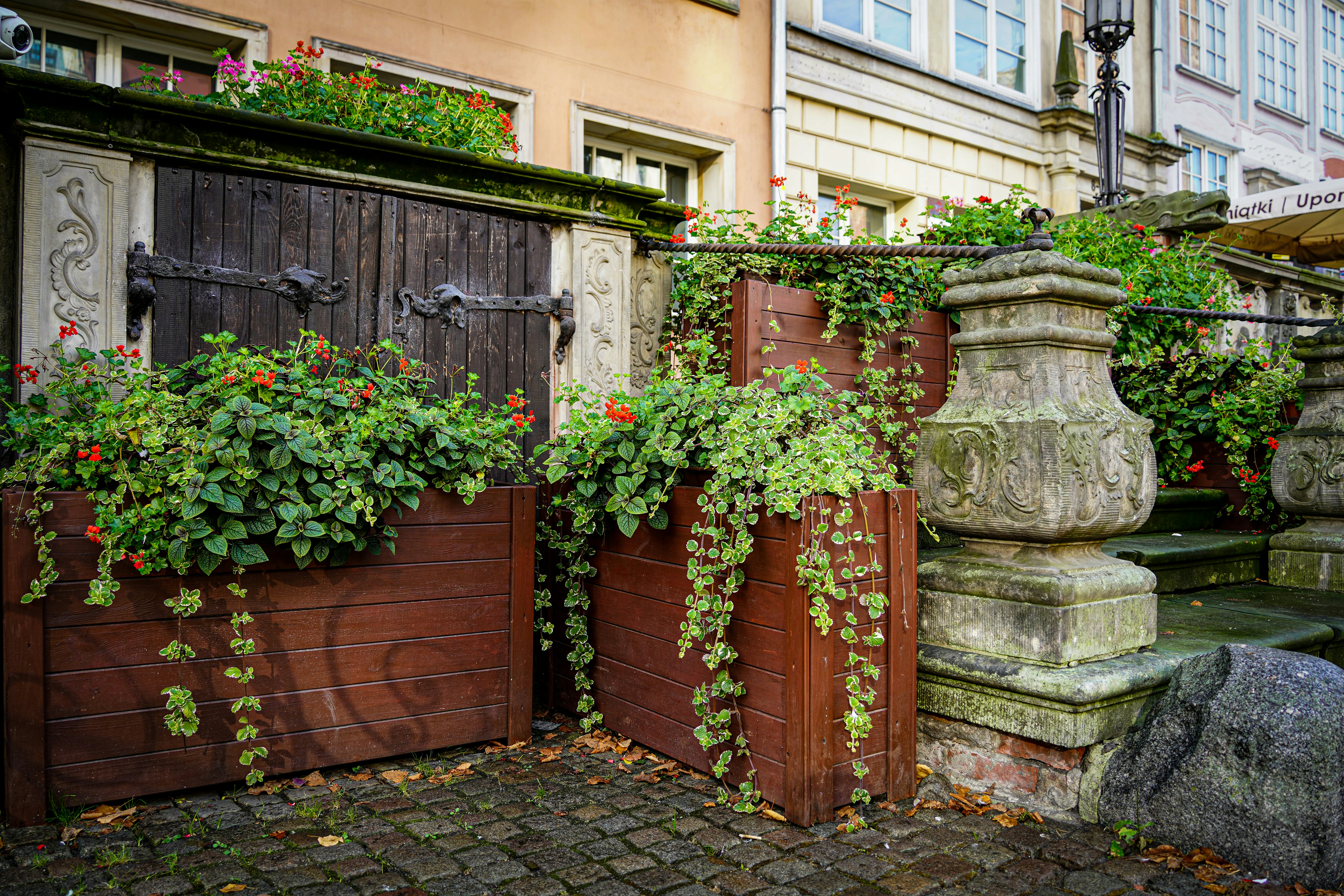 Edging Greens: A Quiet Courtyard Between Facades