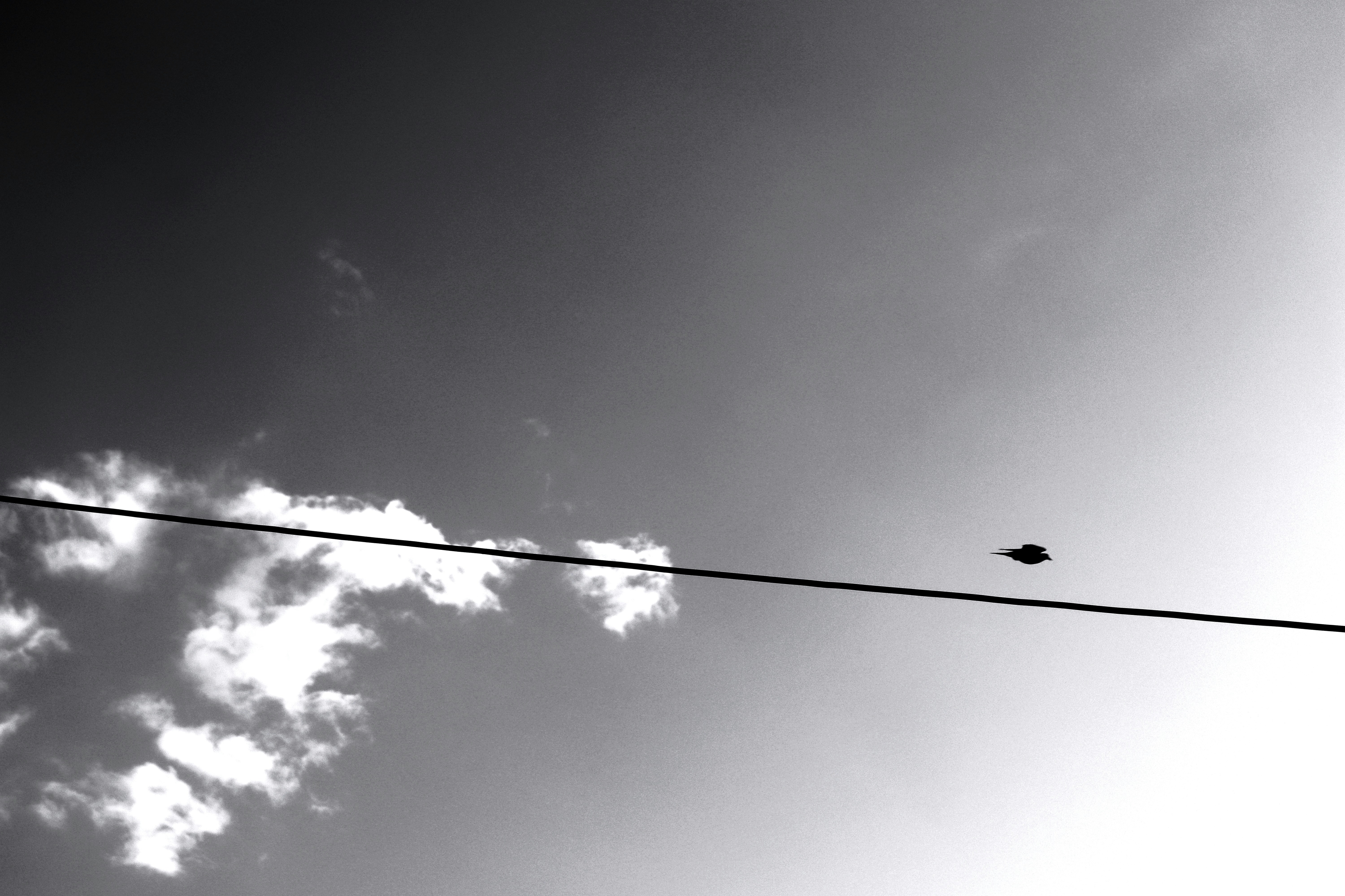 Armin Heydari (@armin_hpr) | Communauté photos Unsplash