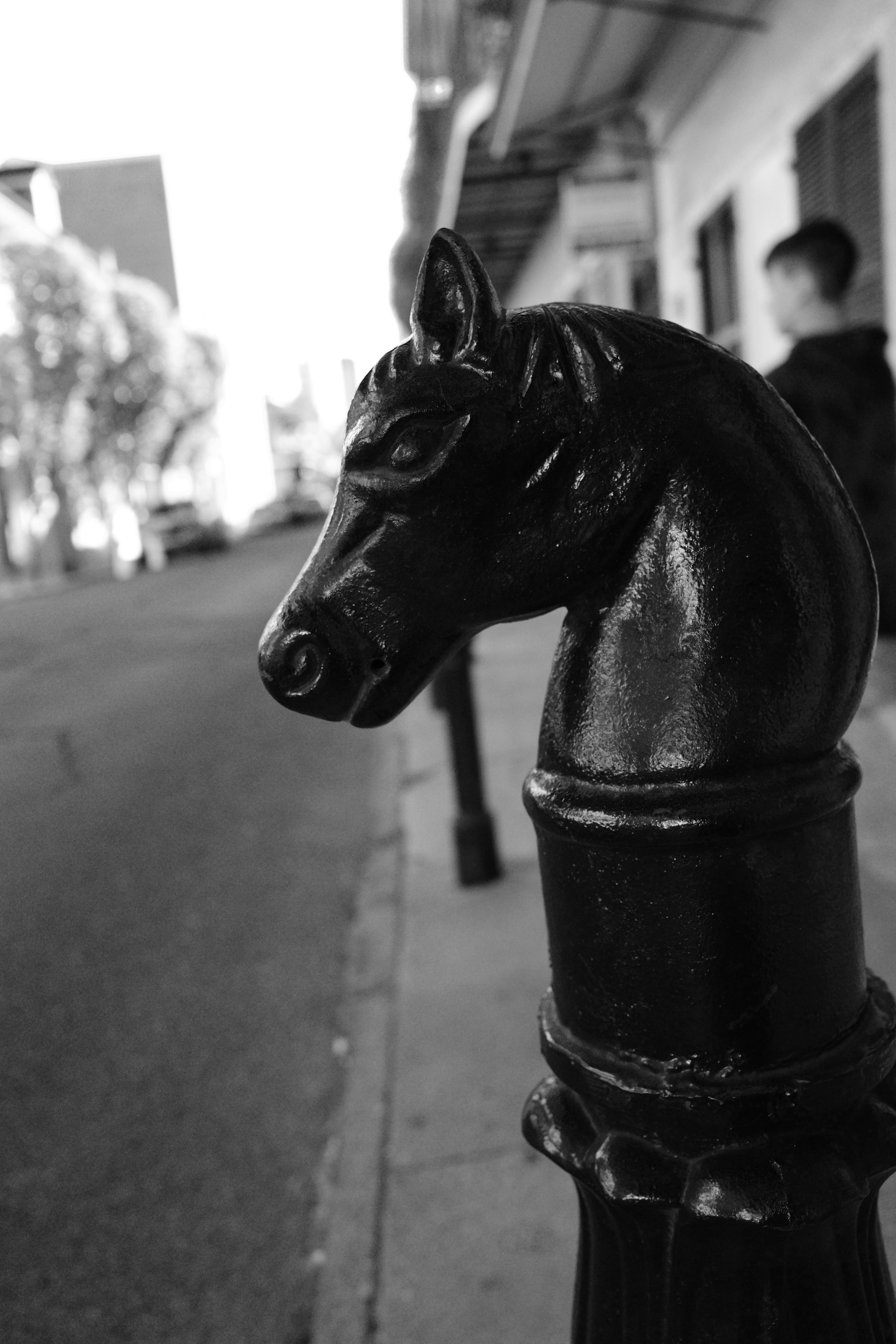 The Knight in Neon Black: A Street Corner Chess Piece