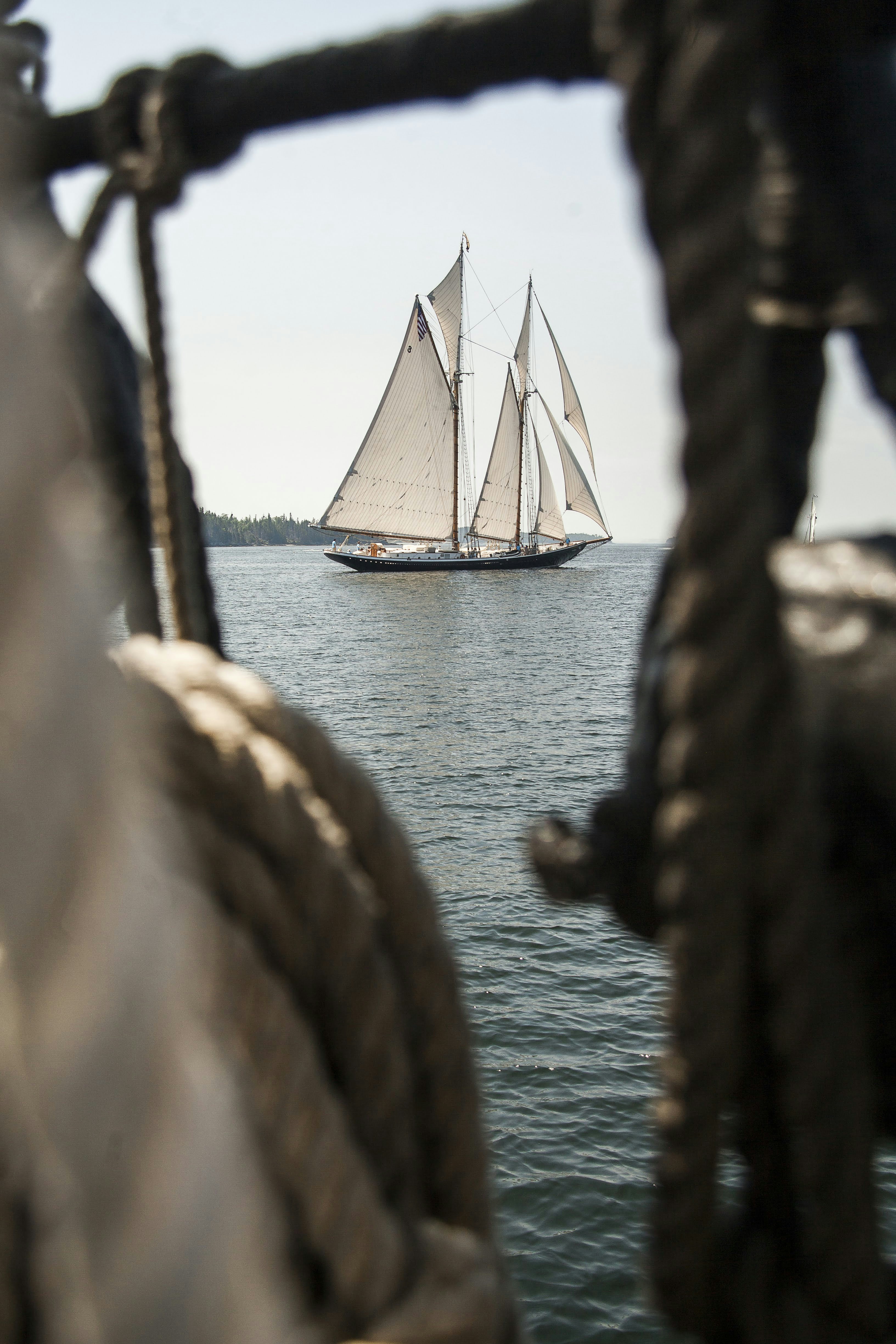 The Great Schooner Race. | a sailboat sailing in the ocean on a sunny day