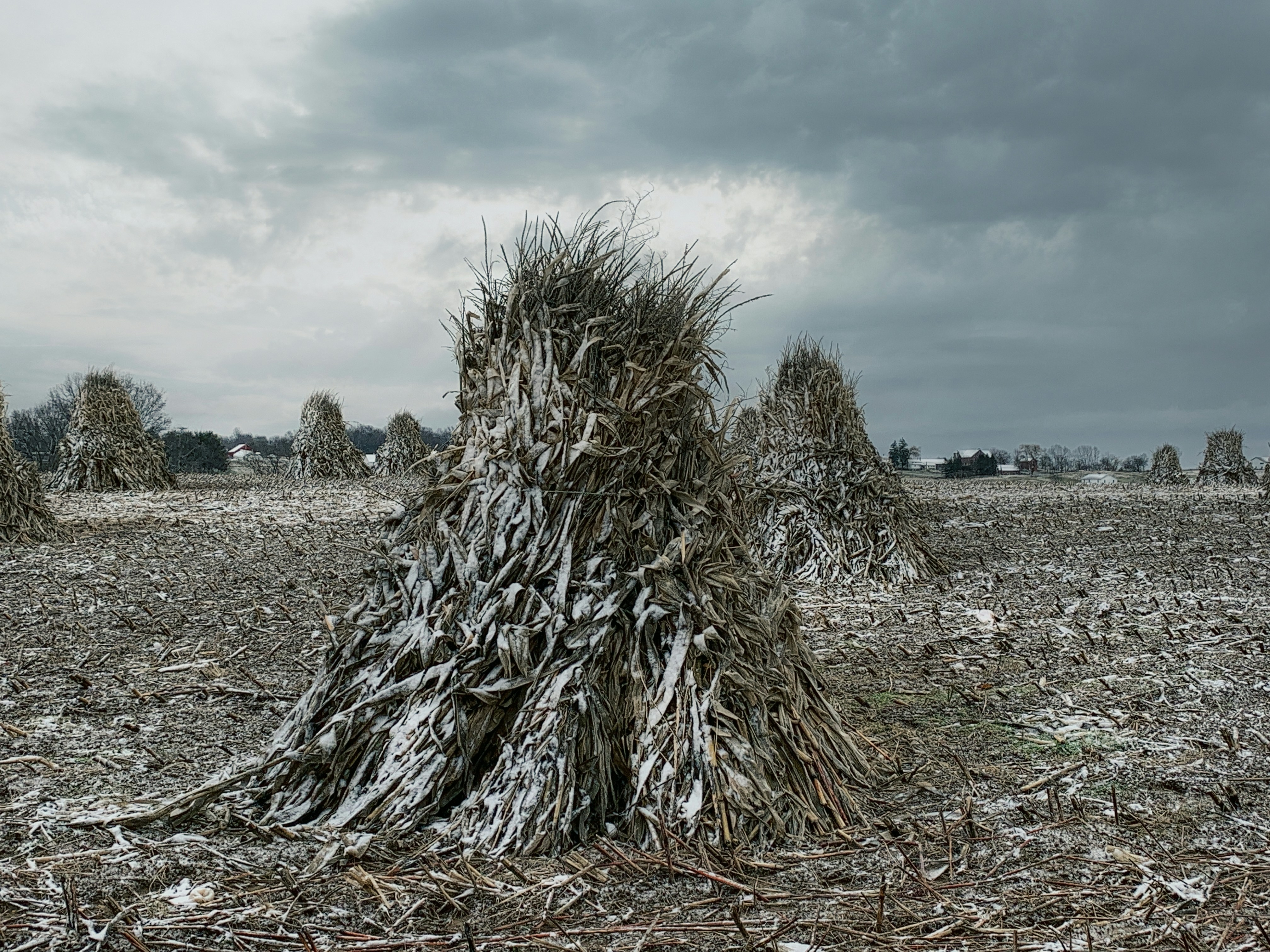 Stooks in a field