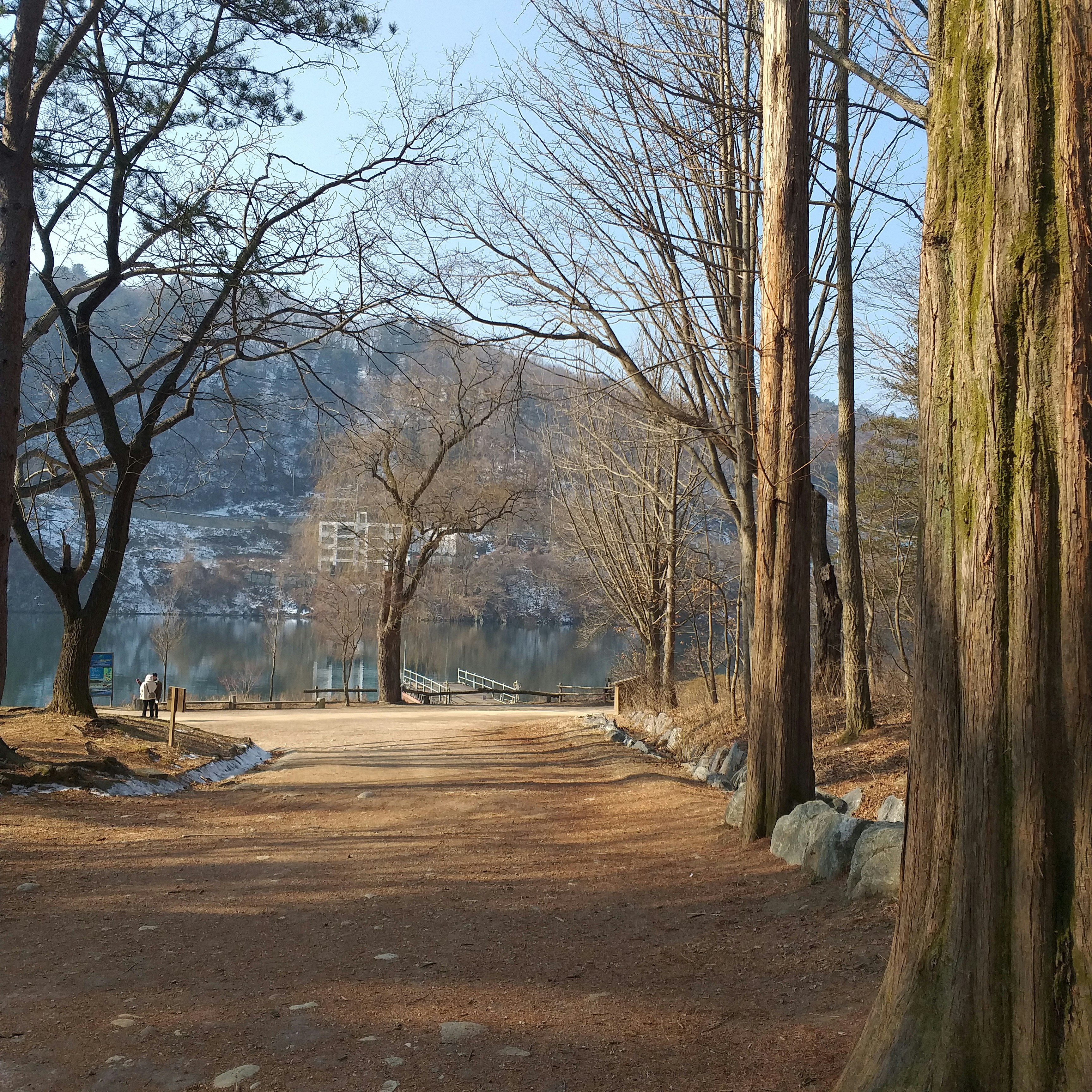 Photo by Nor Azni Shahari with Samsung Galaxy J8