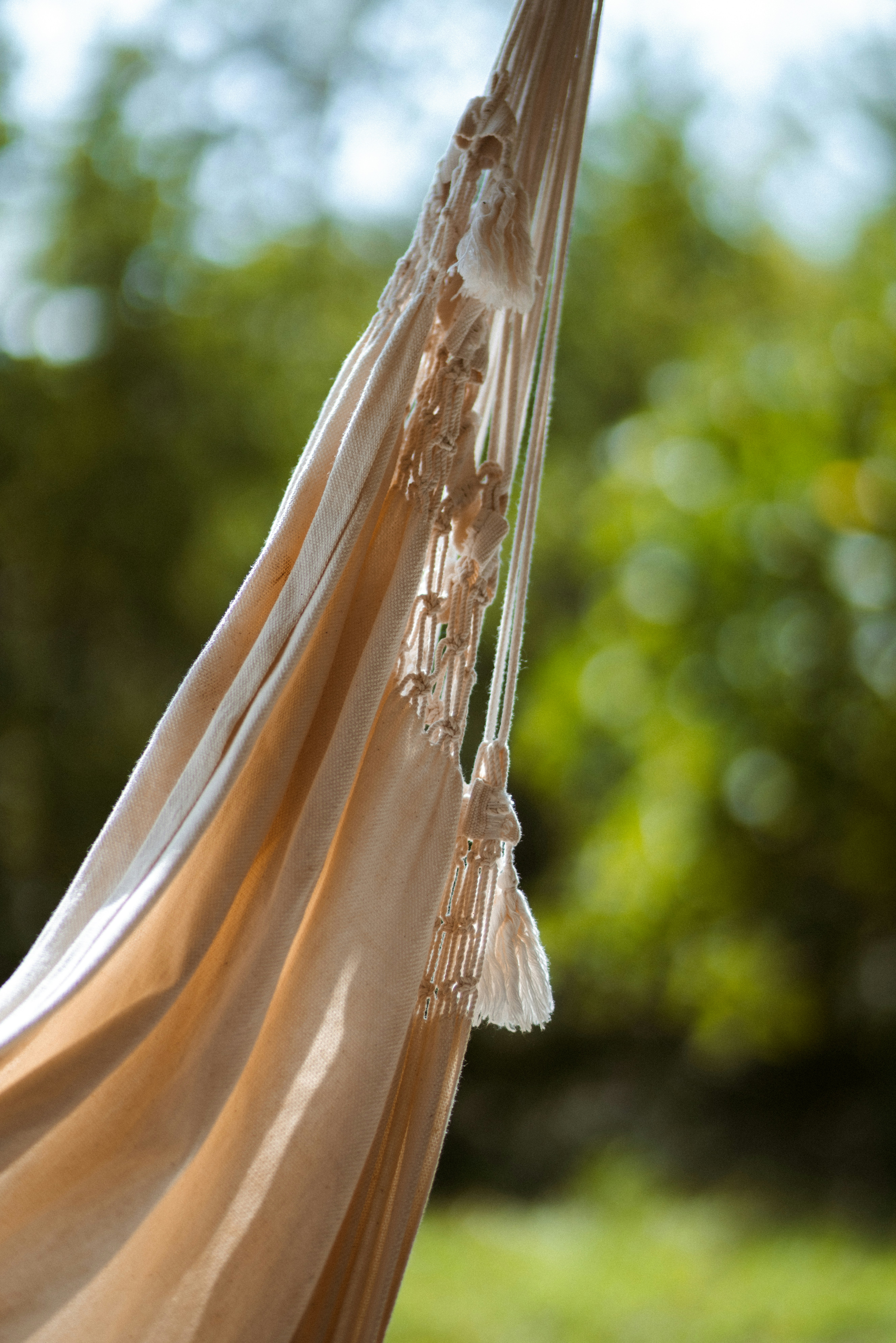 a hammock hanging from a tree in a park