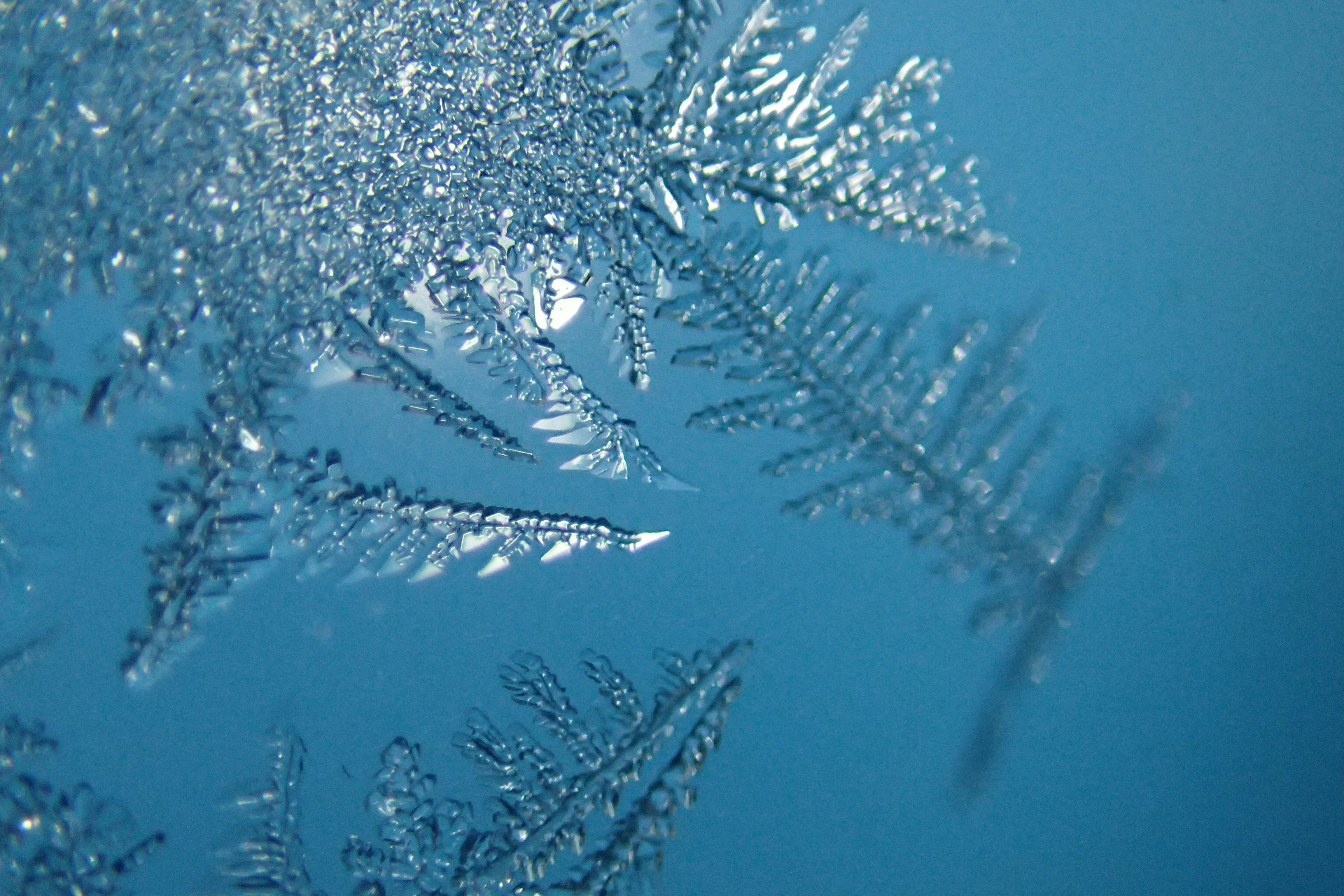 A close up of a snowflake on a clear day photo – Free Ice Image on Unsplash