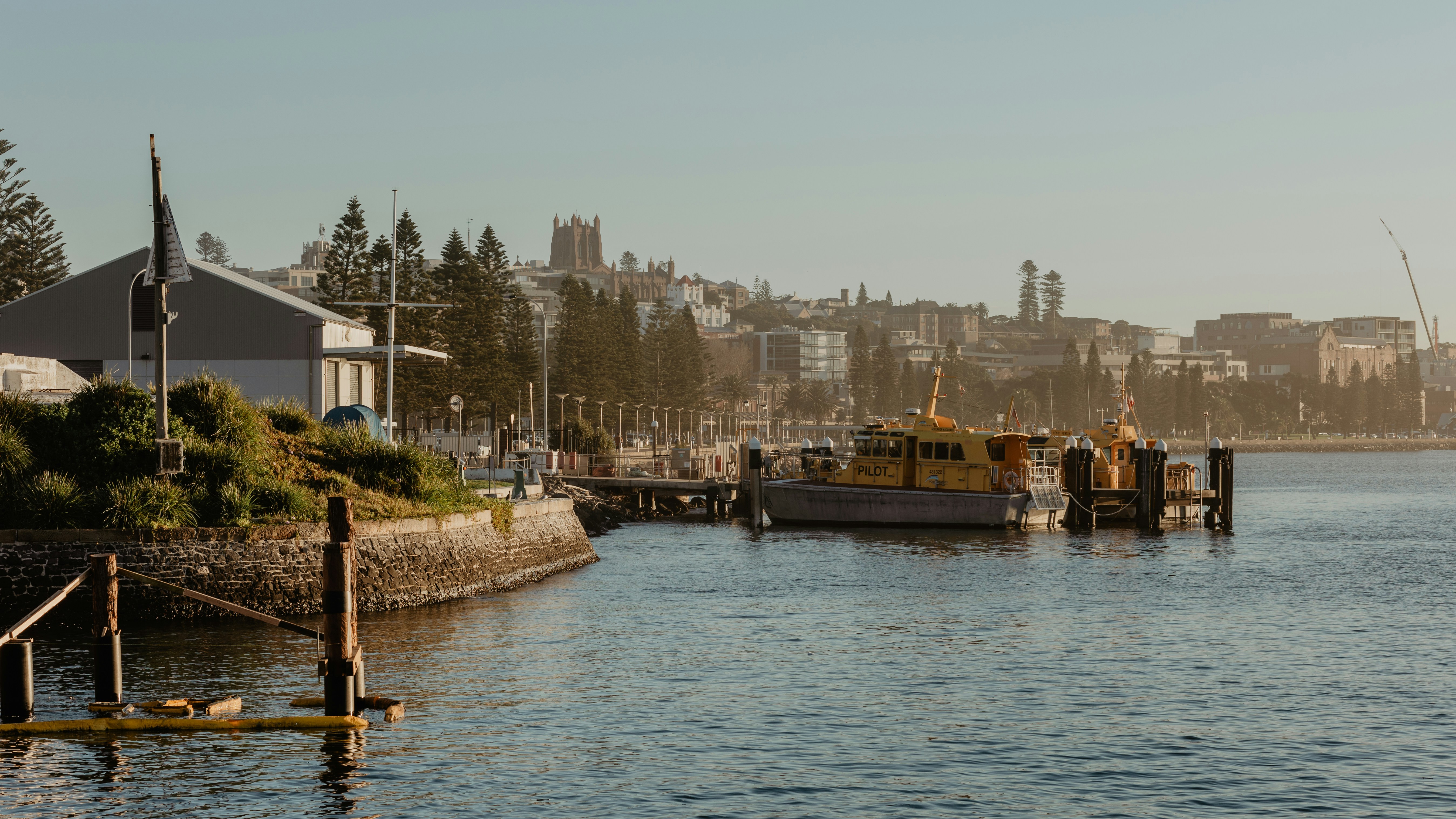 Harbor scene with a yellow boat docked against a backdrop of city buildings and pine trees.
