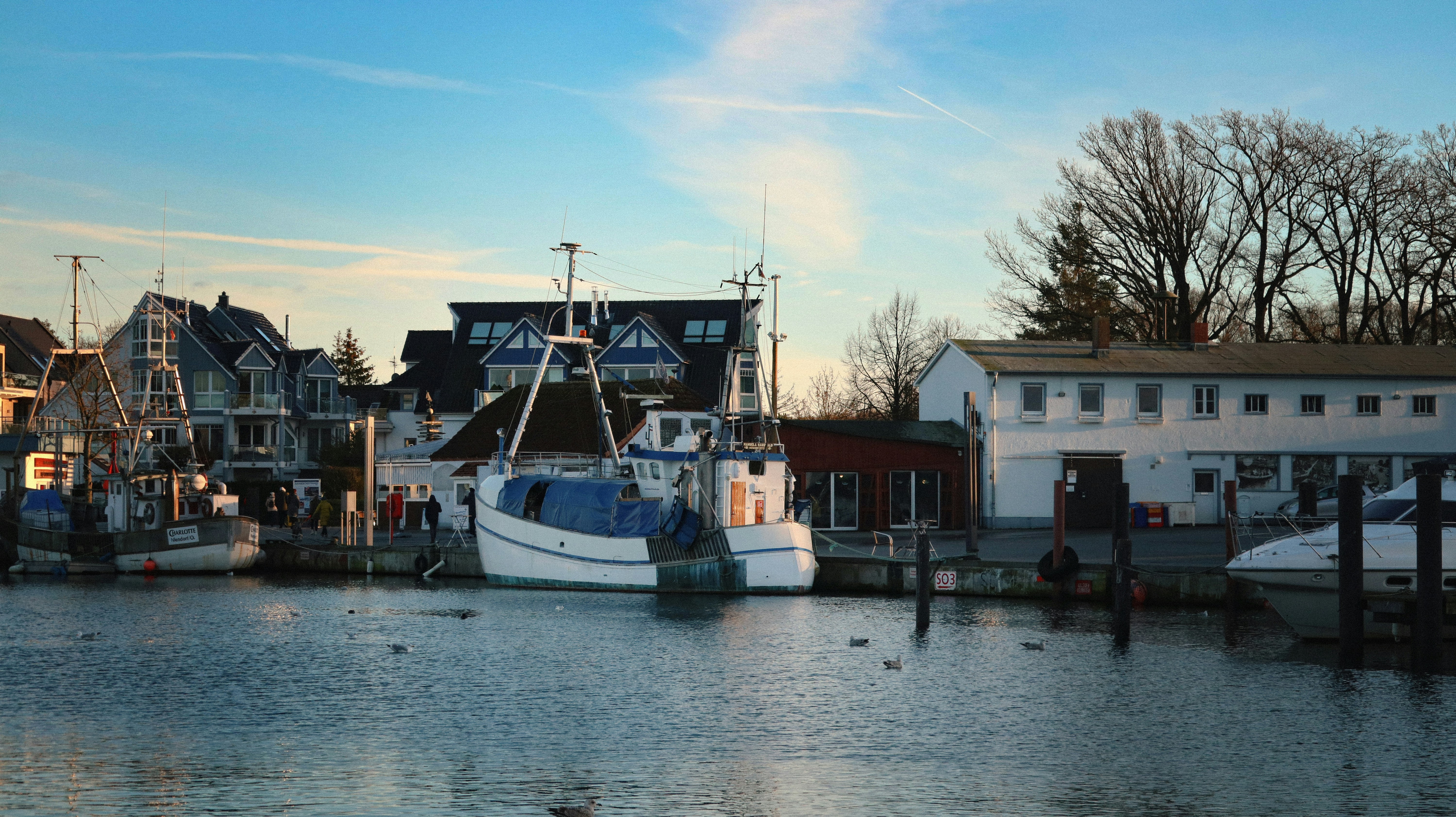 Harbor Light: A Blue-and-White Sloop Nestled Among Quiet Docks