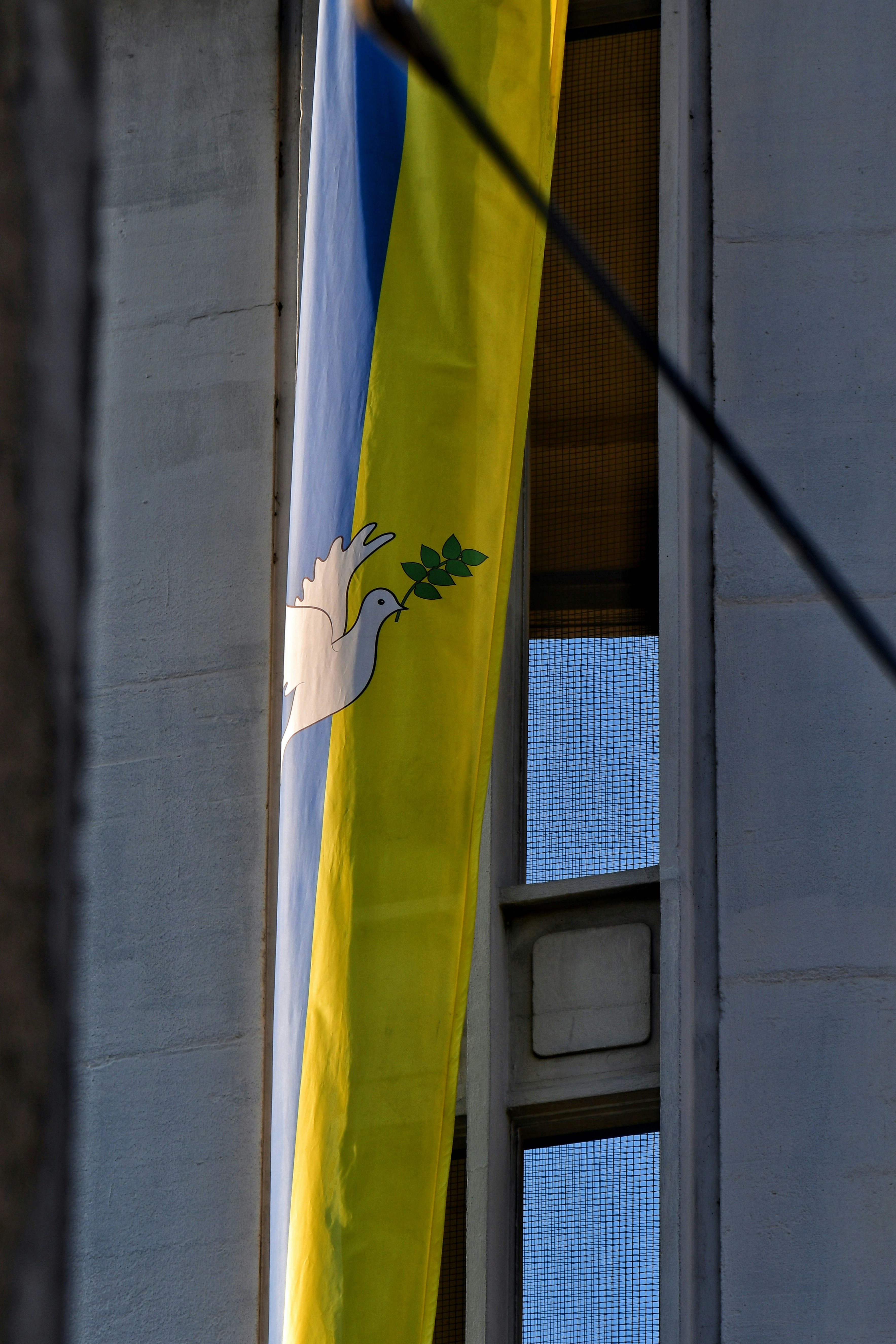 Photo by Peter Steiner 🇨🇭 1973
