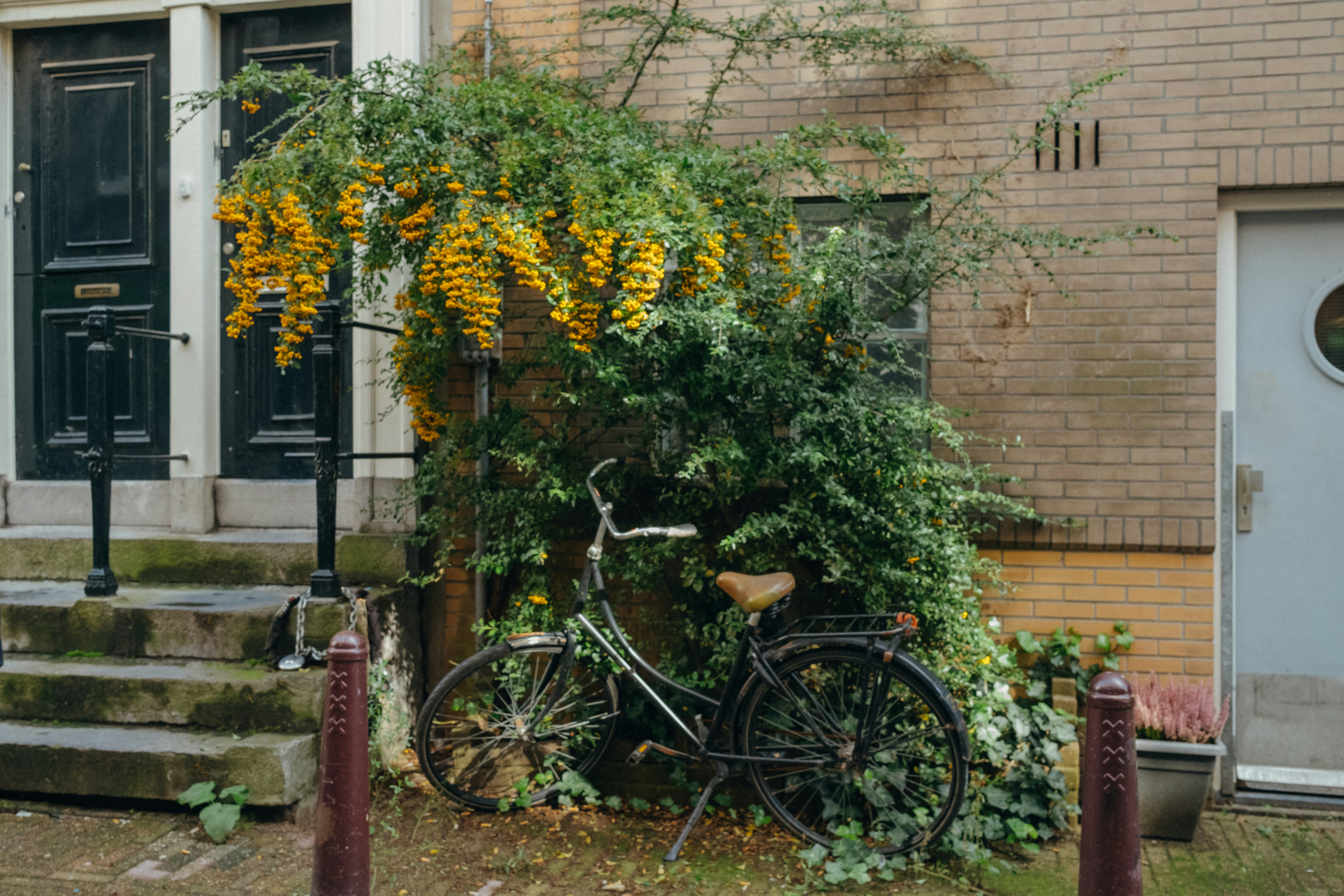 a bicycle is parked in front of a house