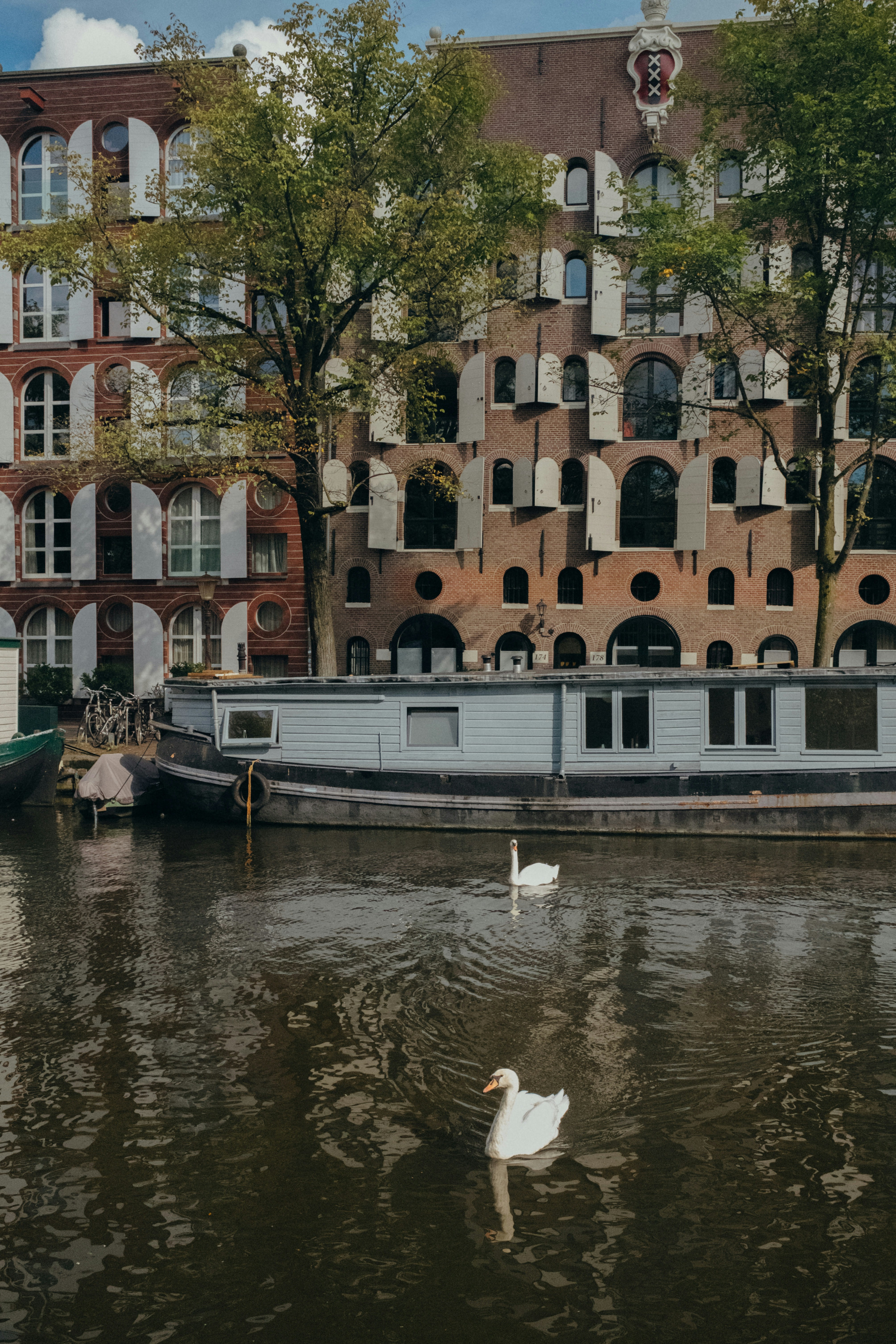 White Swan in a Quiet Canal Between Brick Arches