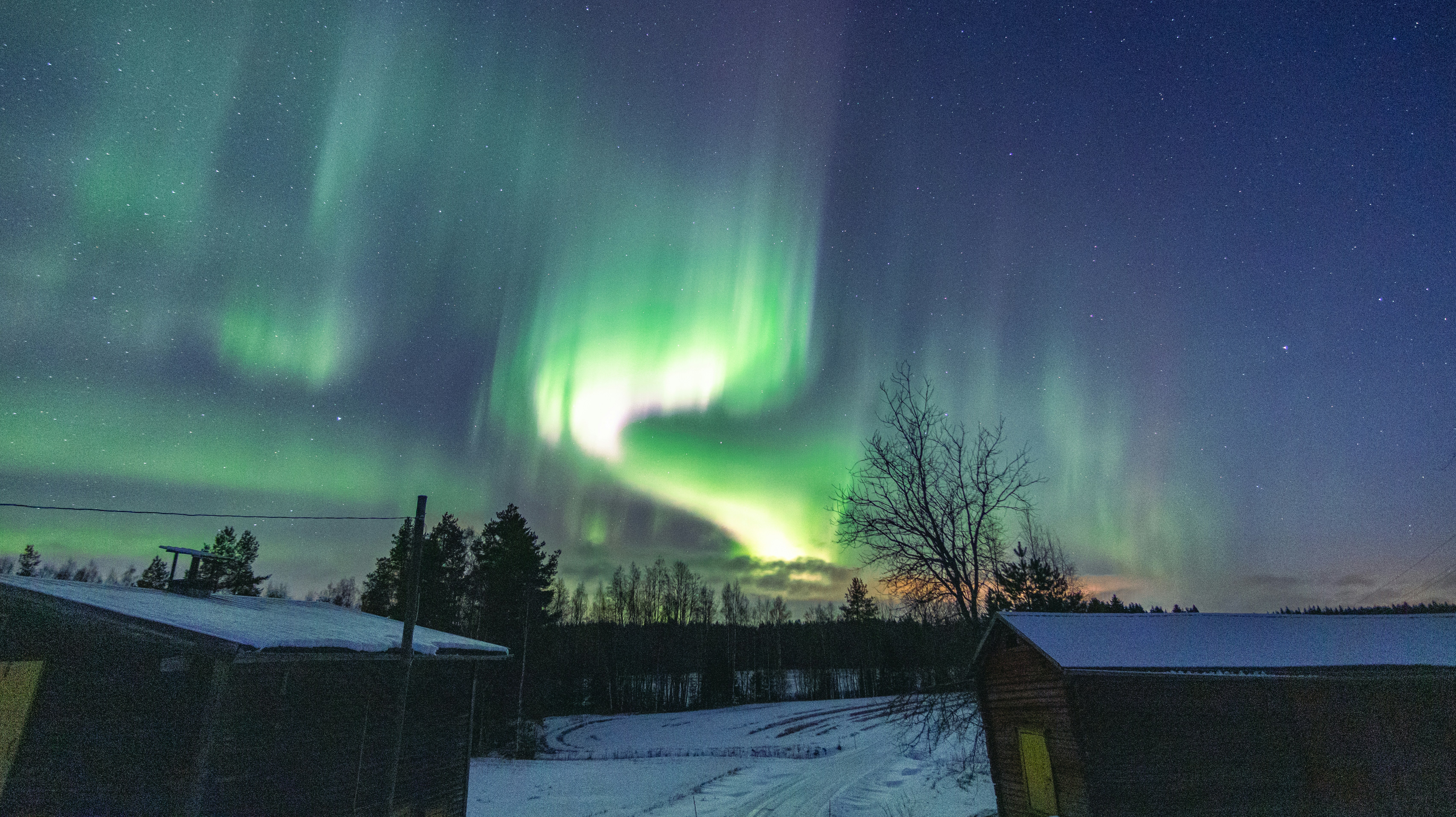 Aurora Curtains over a Snowbound Homestead