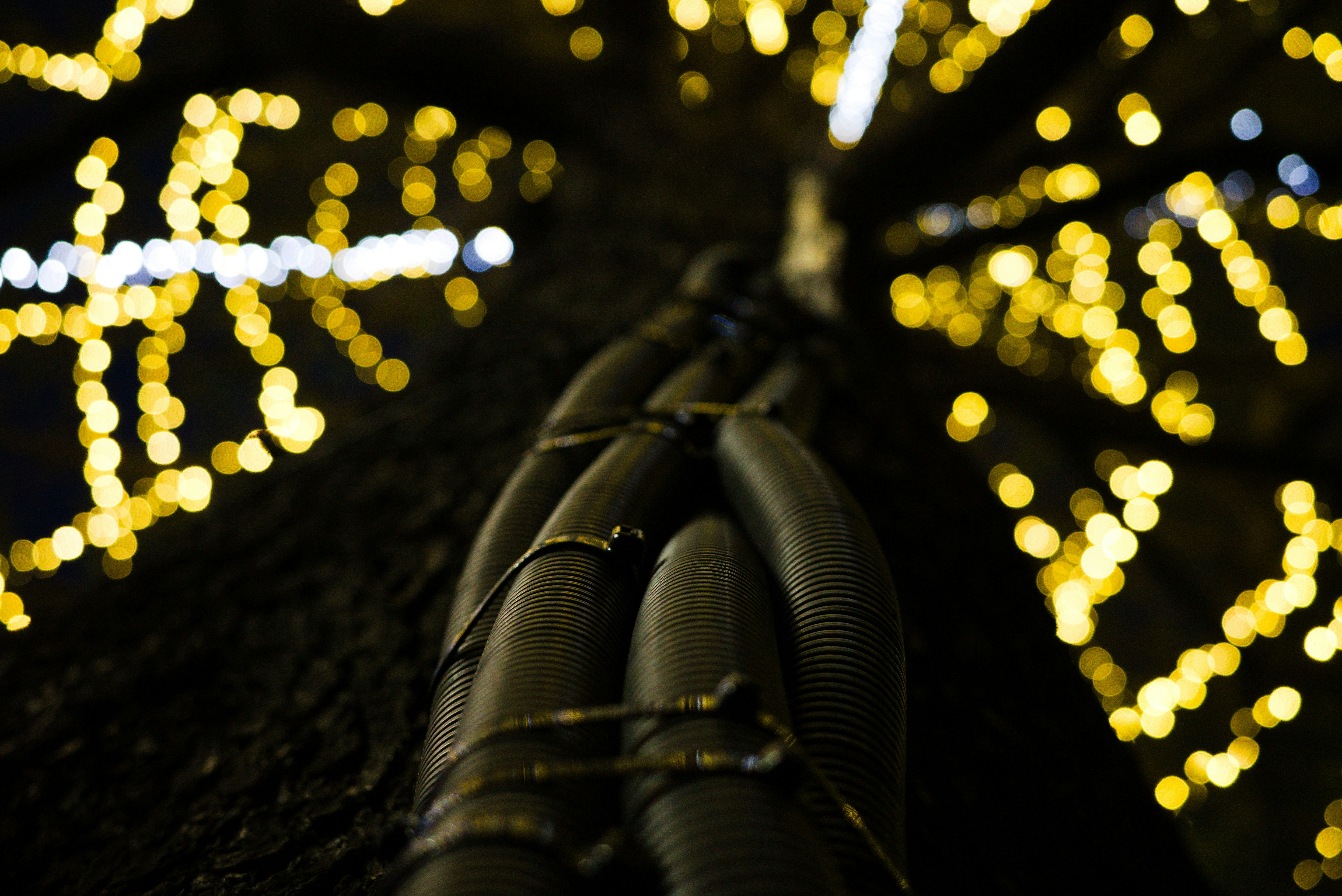 Illuminated Veins of the Urban Canopy