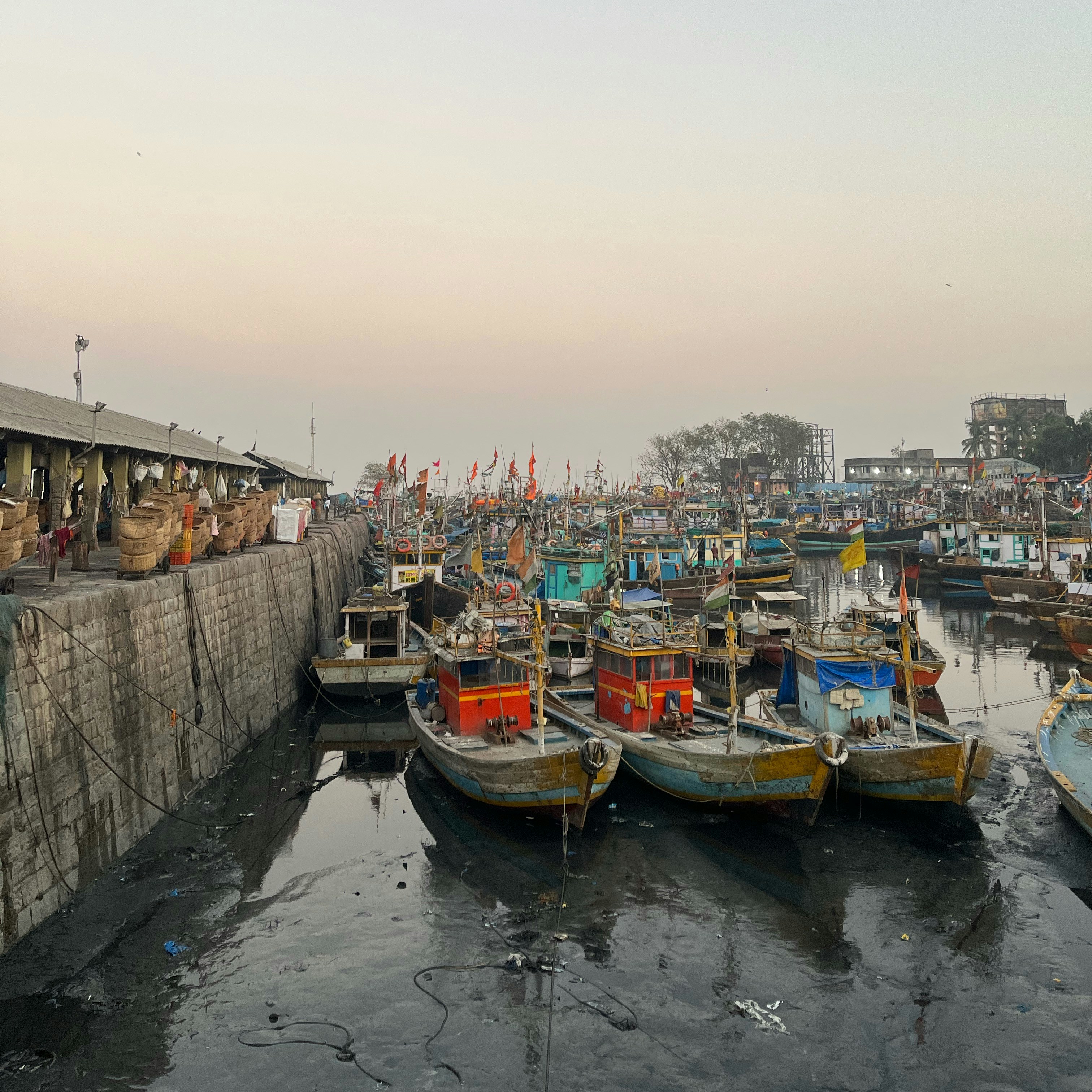 Harbor Harmony: A Tapestry of Colors and Cultures
