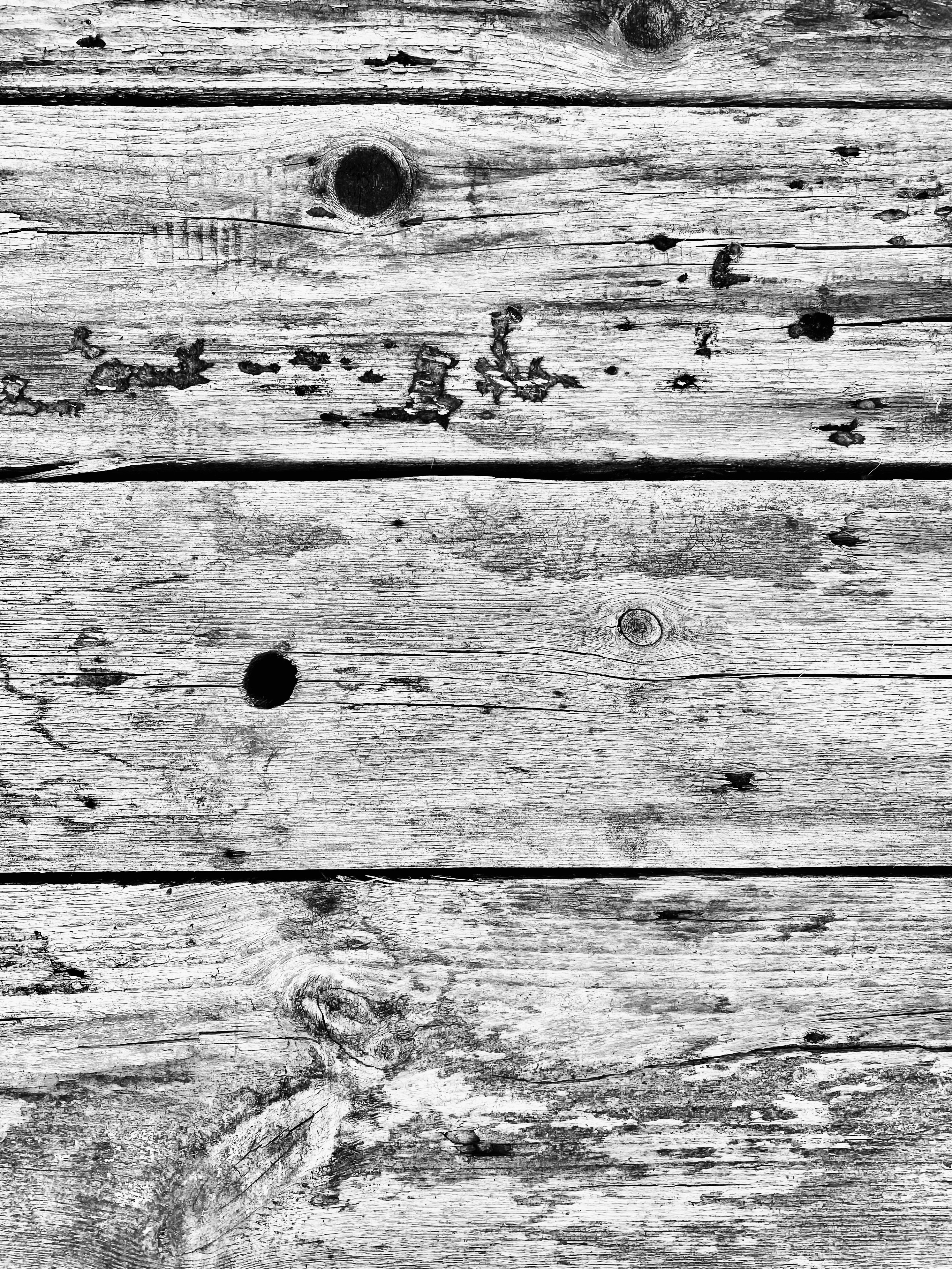 Photo by Eugene Golovesov with Apple iPhone 11 Pro