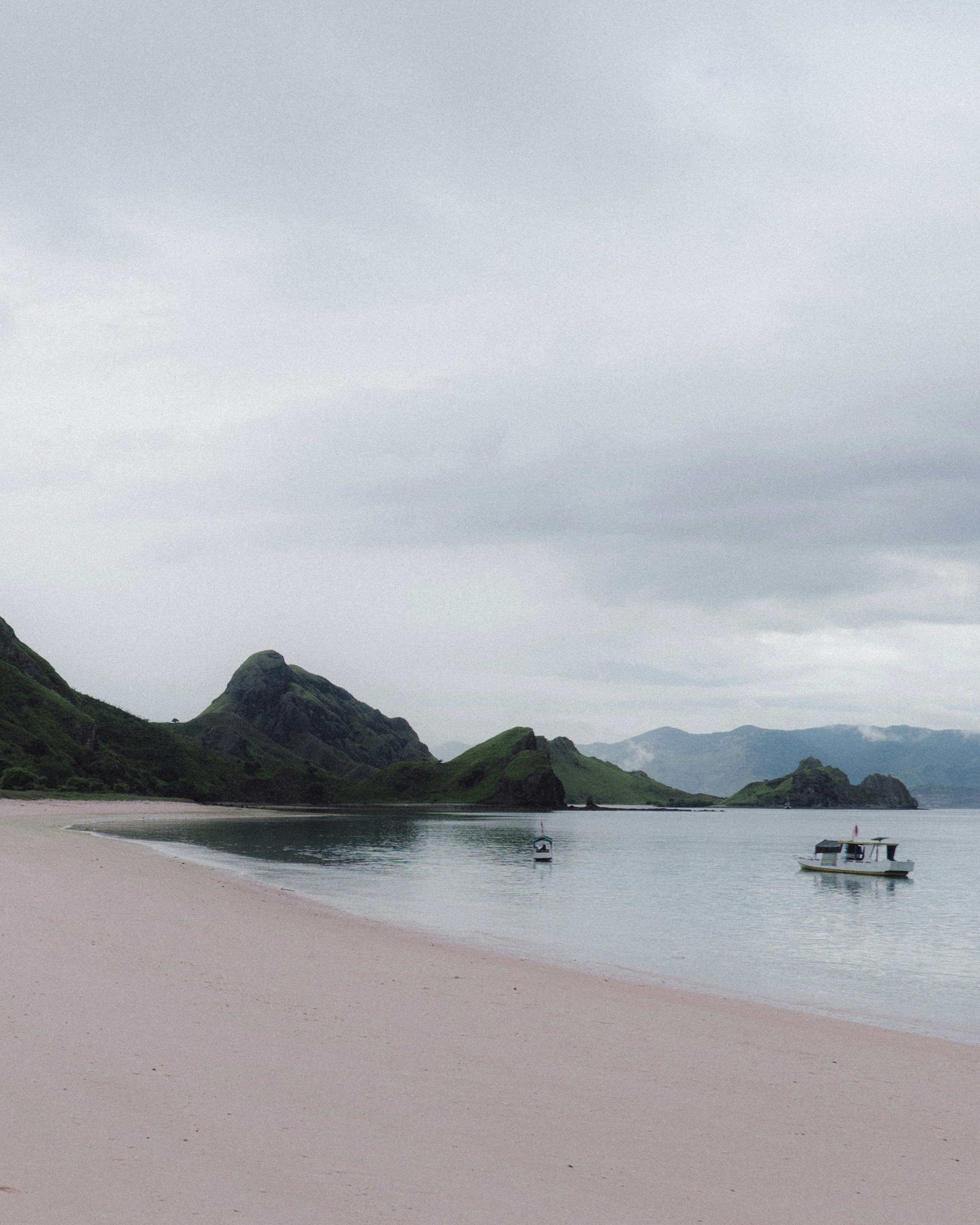 Verdant Cove: A Small Boat Quietly Anchored Along the Shore