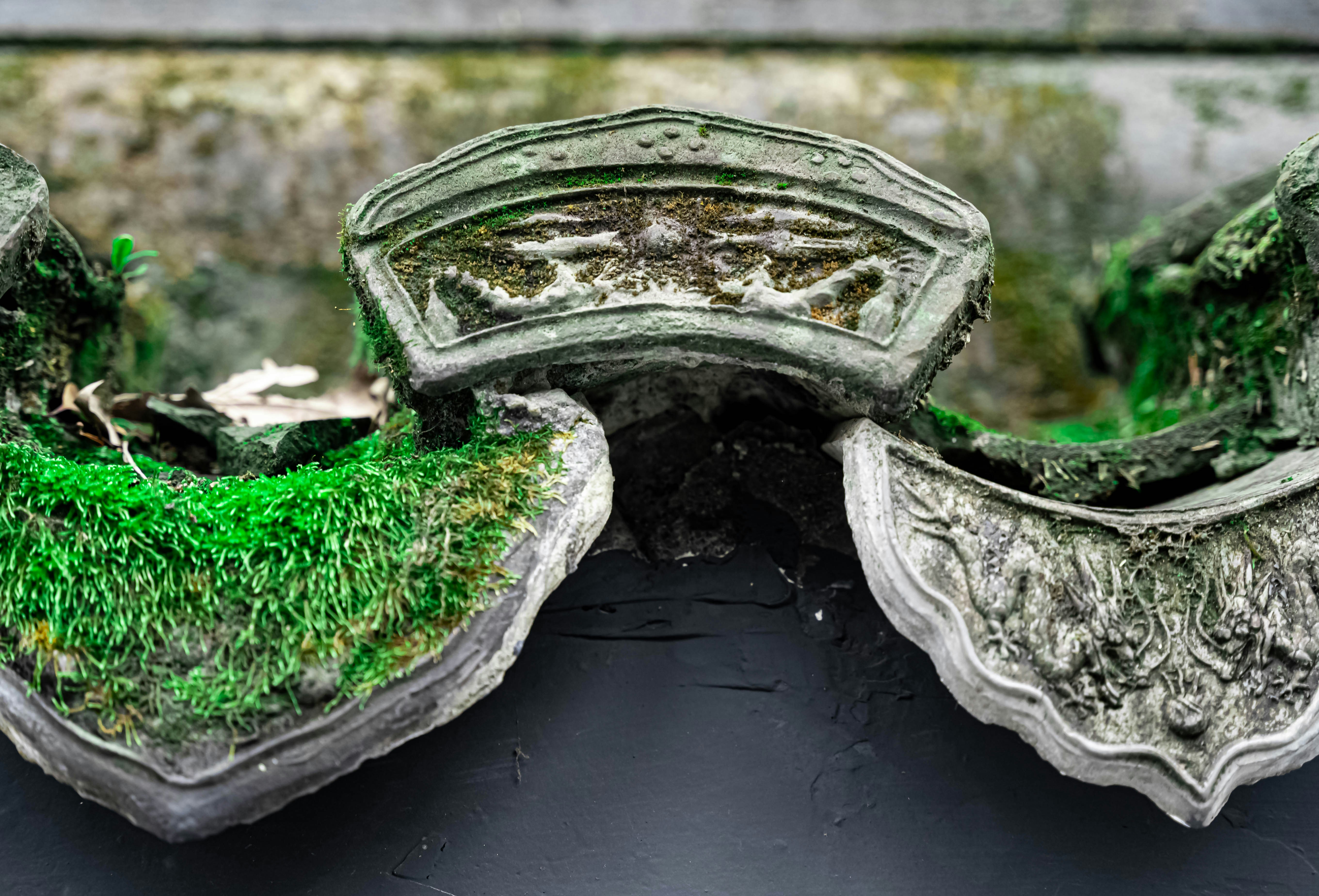 a close up of a planter with moss growing out of it