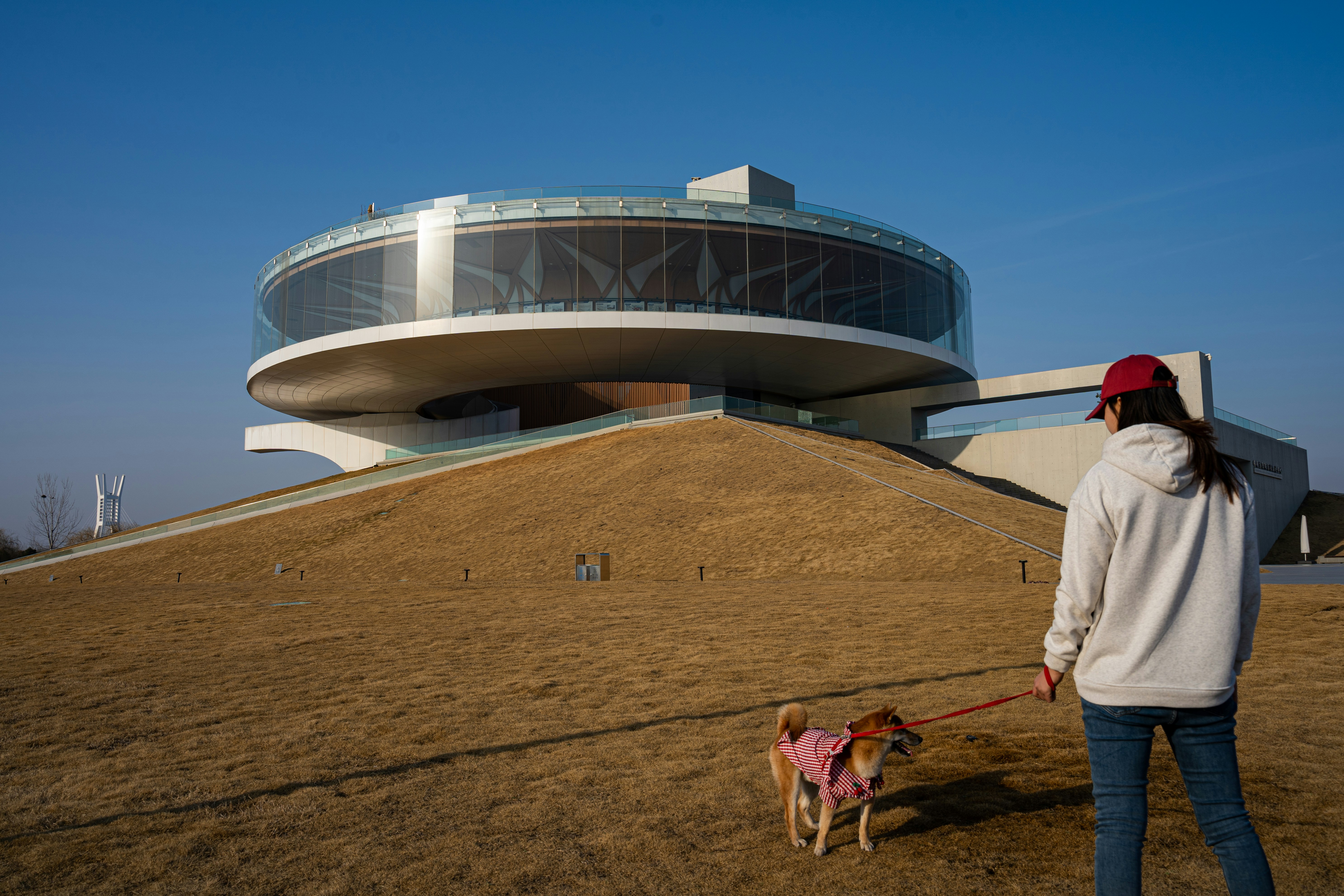 Leash in Hand, a Futuristic Ring: Strolling Toward the Circular Pavilion