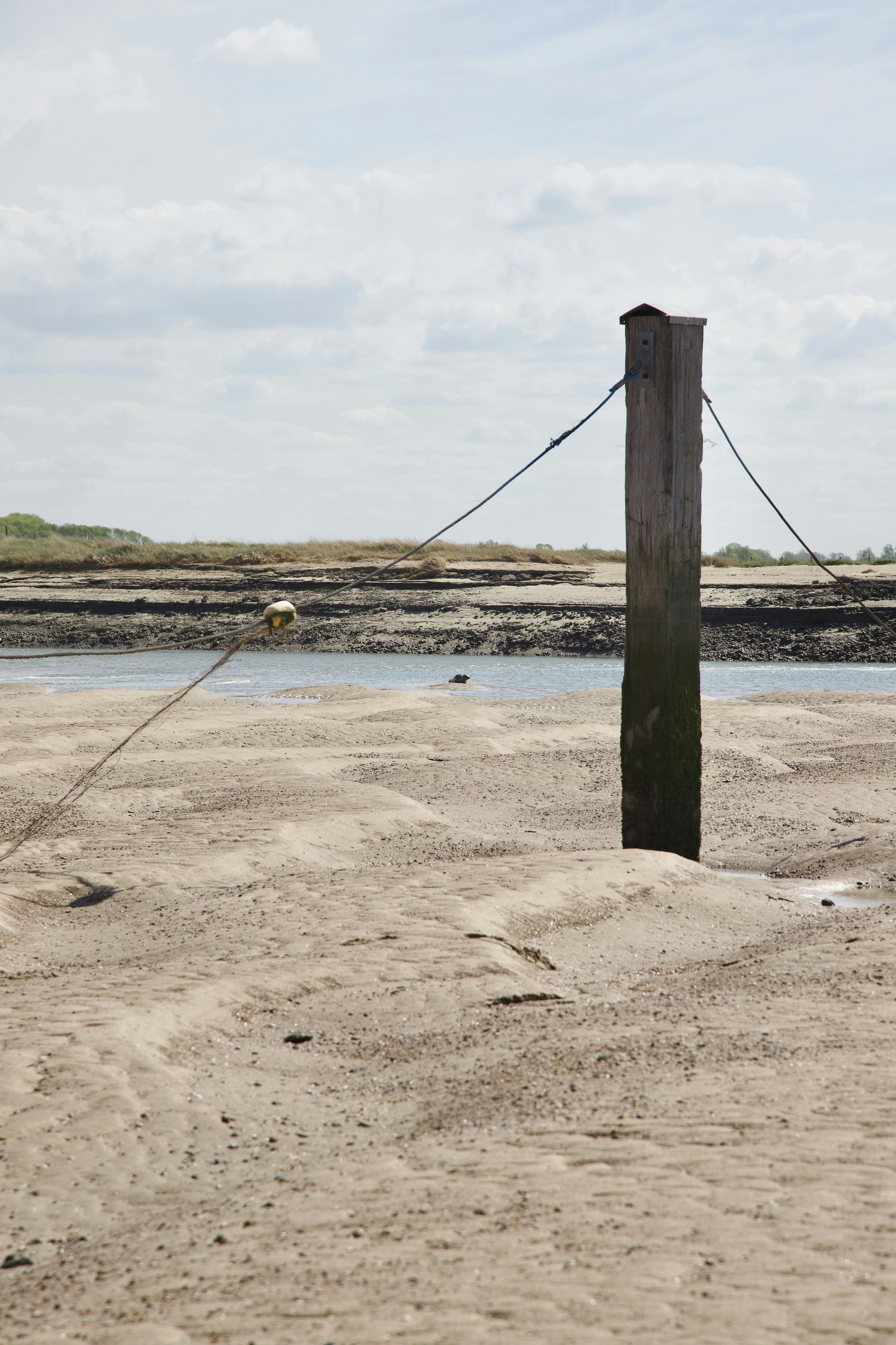 A wooden post sitting on top of a sandy beach photo – Free Cadzand ...