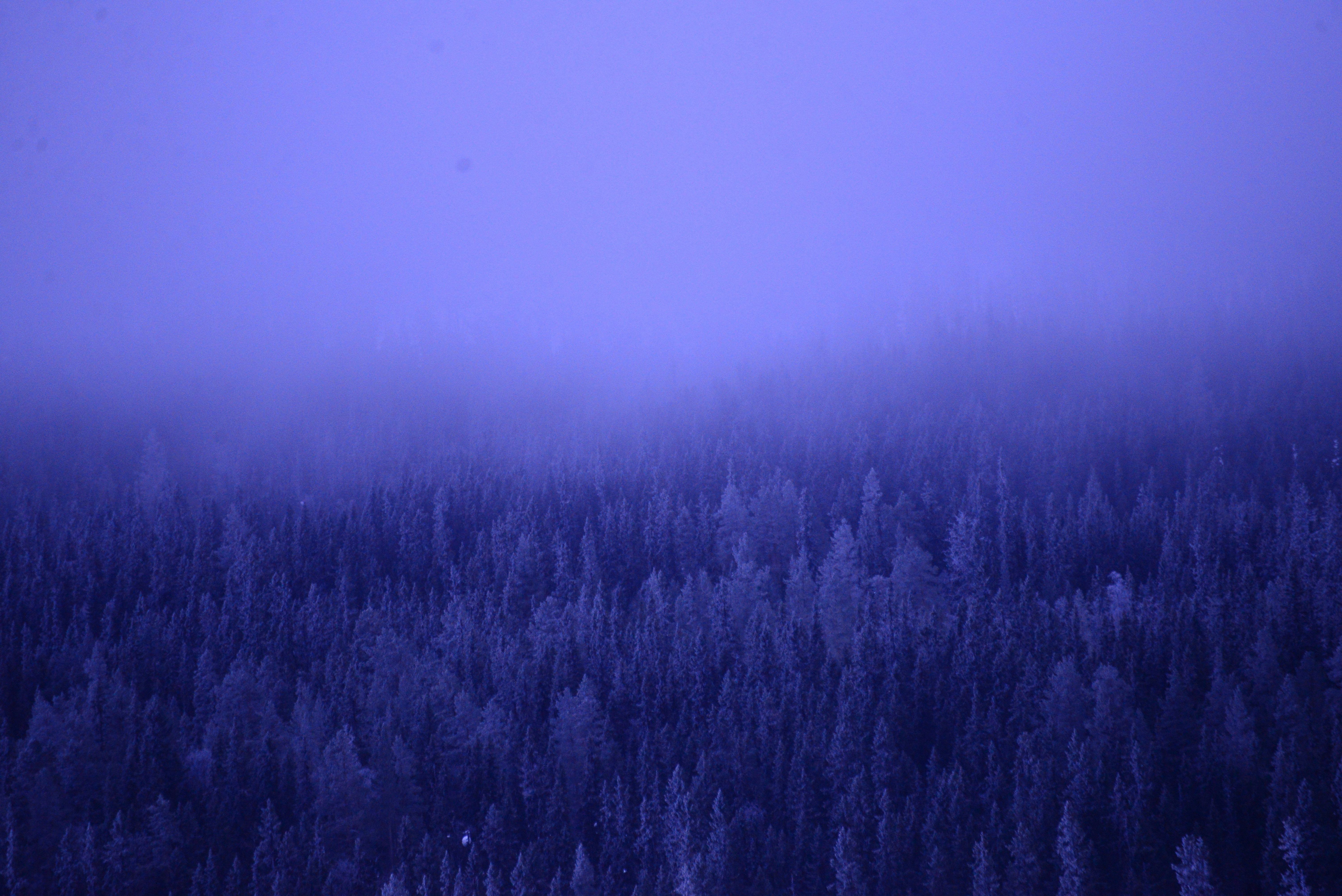 Photo by Artur Rekstad with Nikon D600