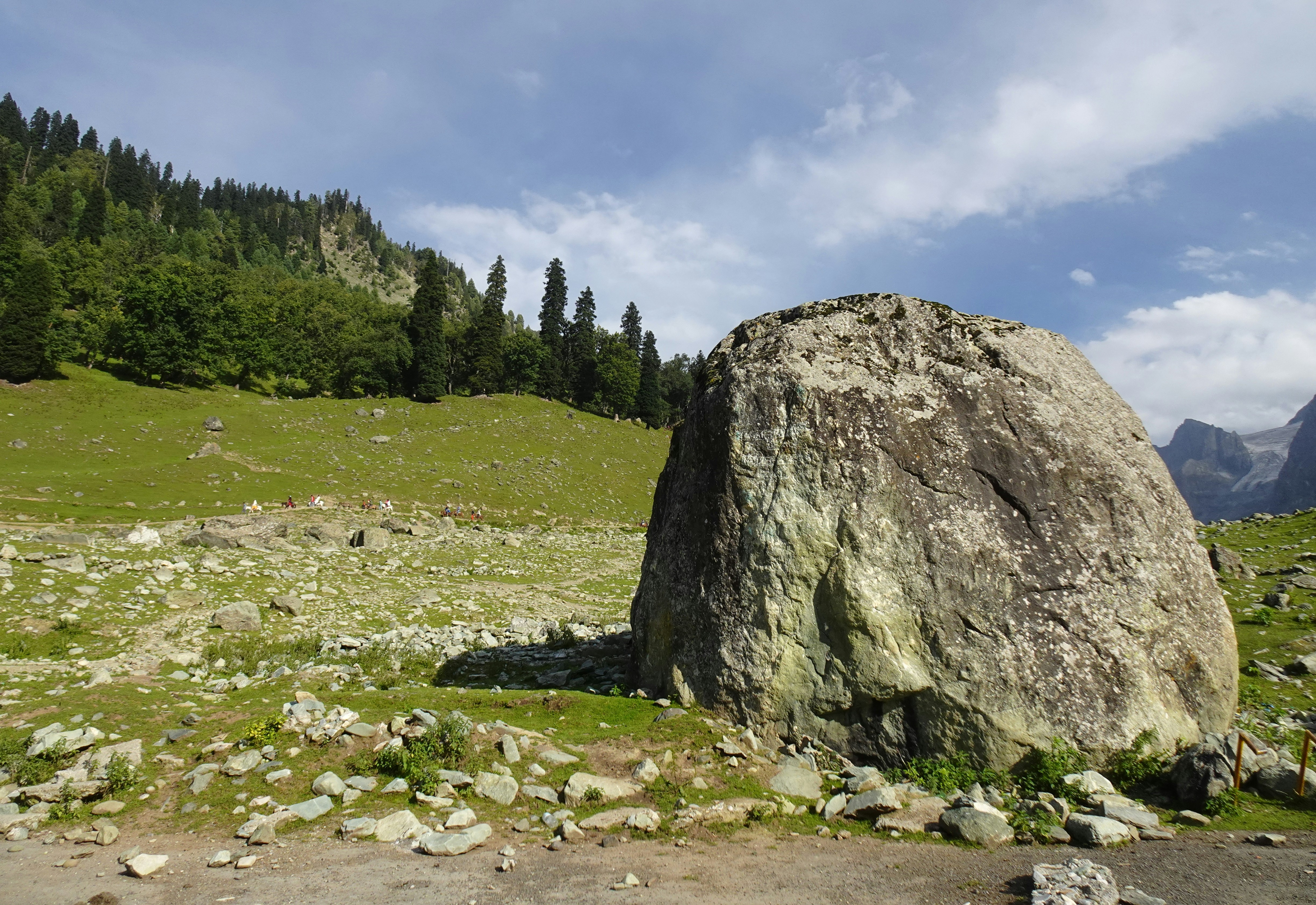 A large, weathered boulder stands prominently in a lush green meadow, surrounded by trees and distant mountains. The scene captures the essence of nature's rugged beauty.