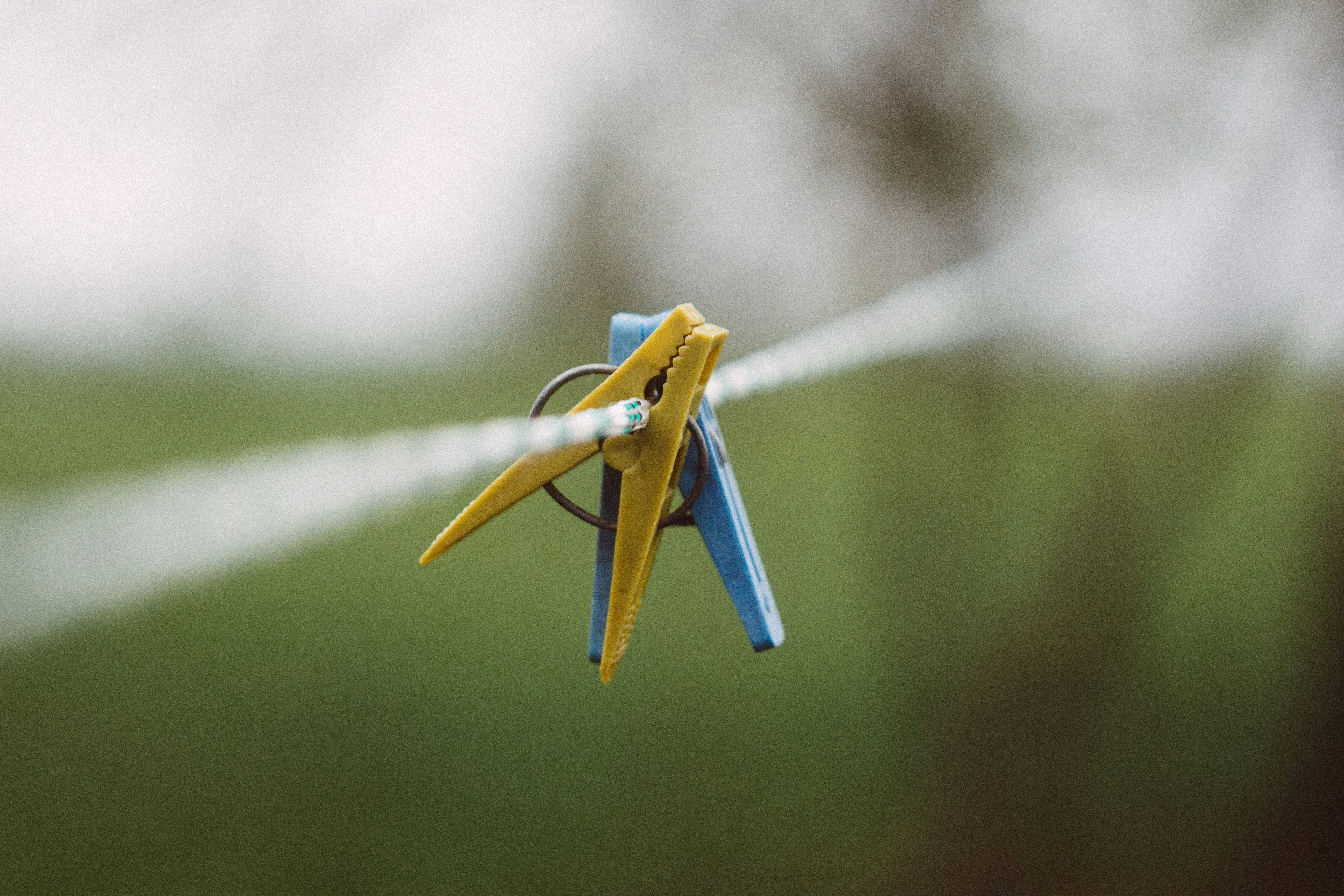 Floating Clothespin Chorus Over a Blurred Field