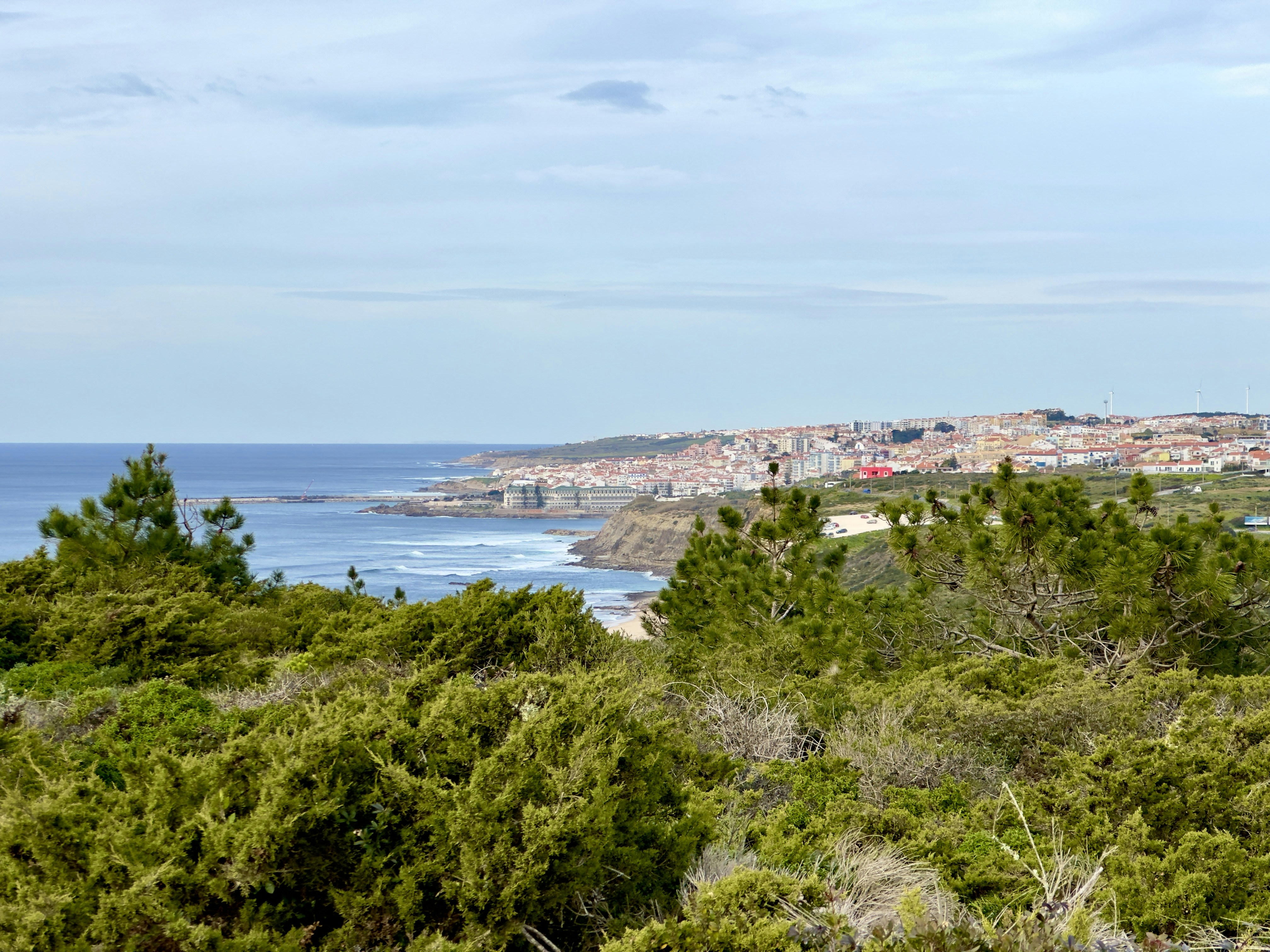 a view of a city and the ocean from a hill
