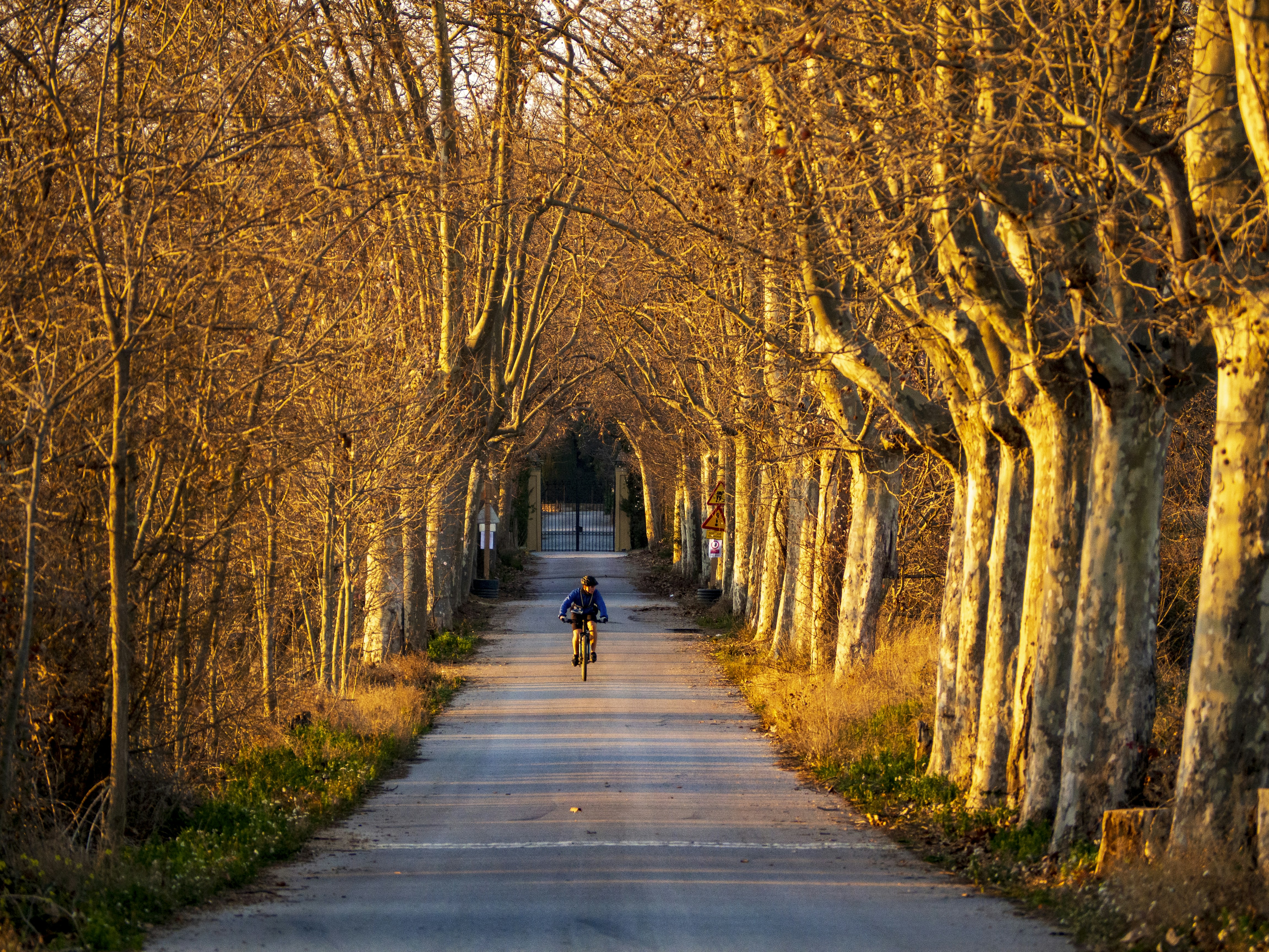 i don't care how long it takes