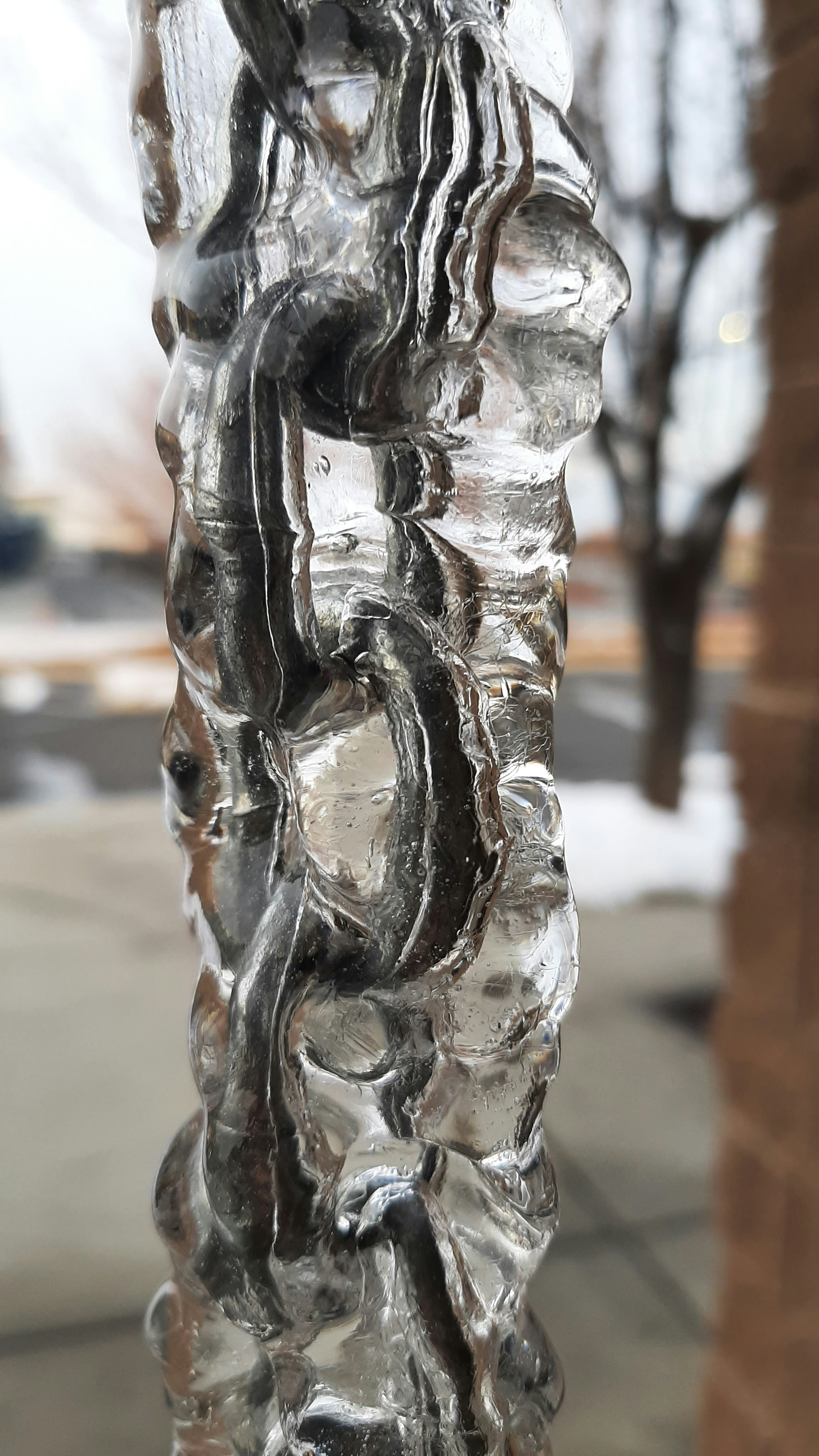 Ice-Formed Texture: Abstract Tree Trunk in Winter Landscape