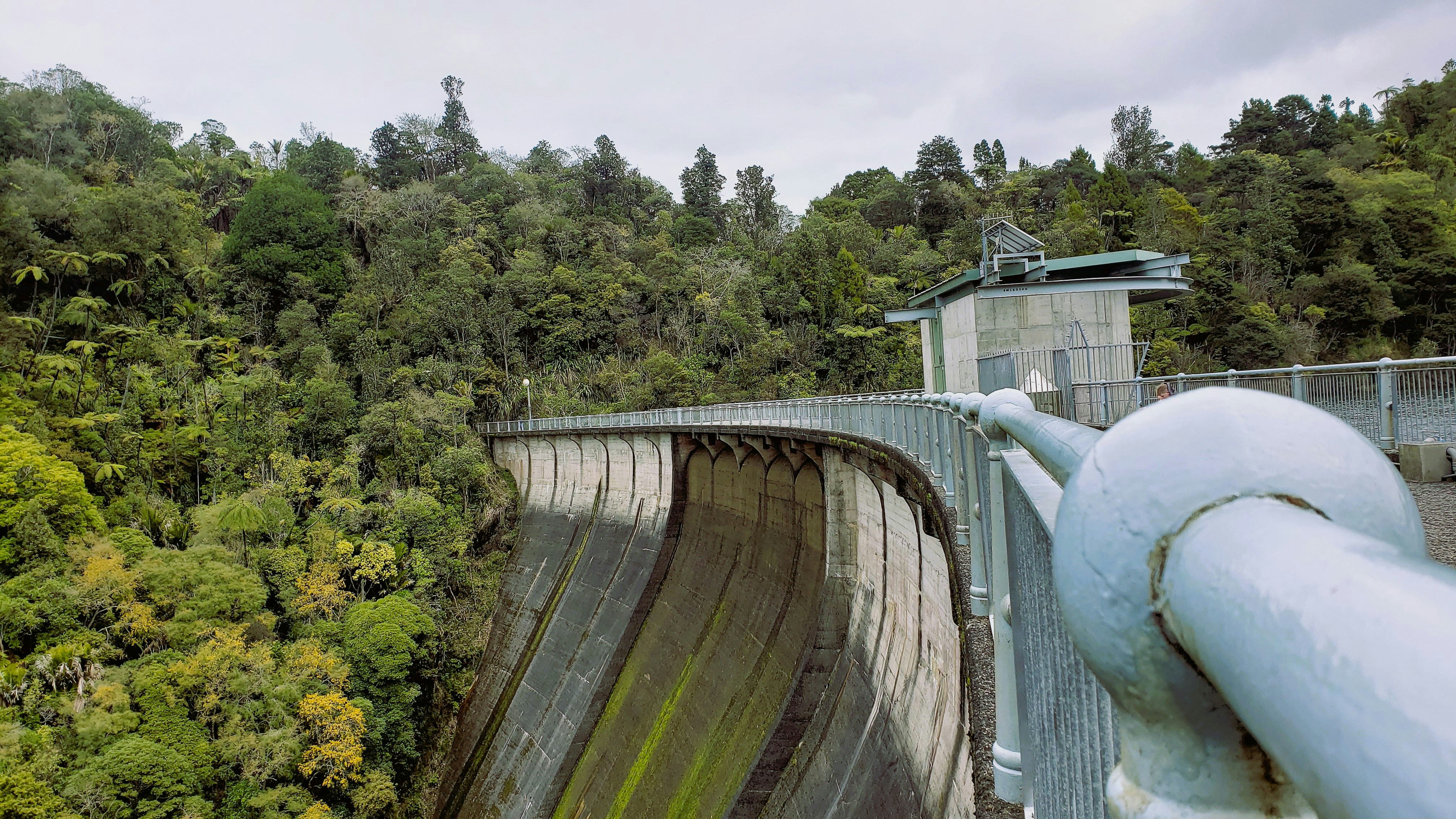 A view of a dam in the middle of a forest photo – Free Infrastructure ...