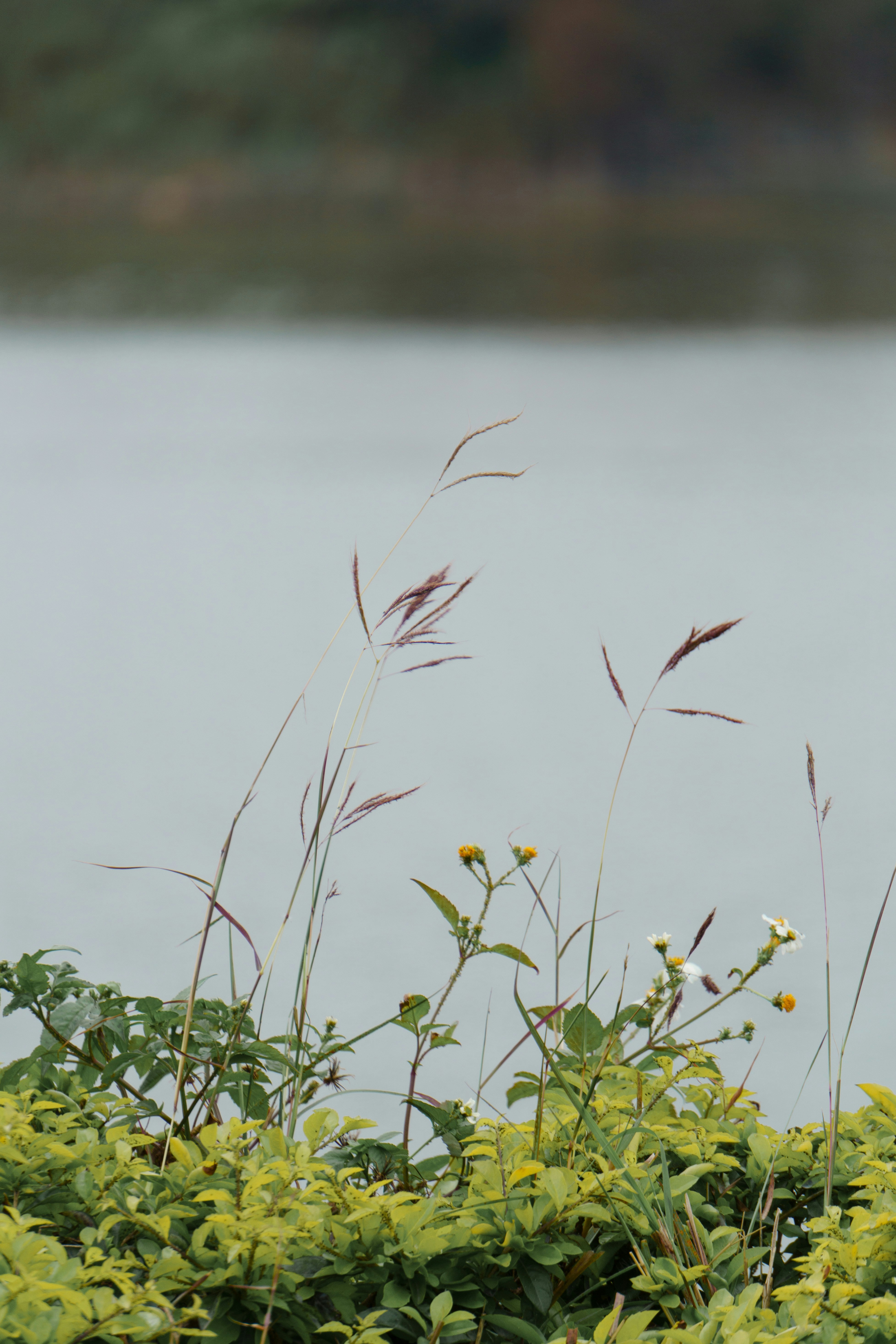 Photo by Shawn Rain with Sony Alpha 6400