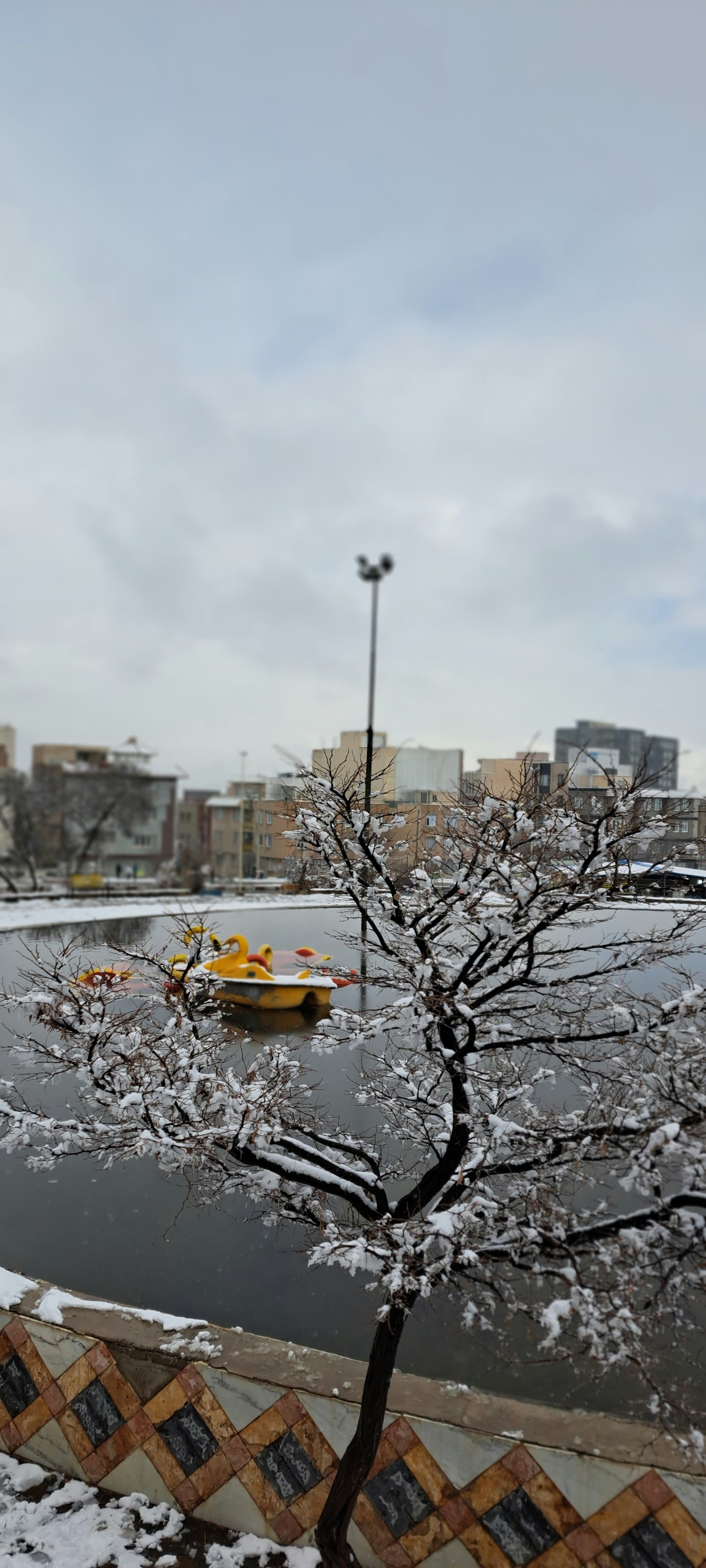 Whimsical Winter Reflections