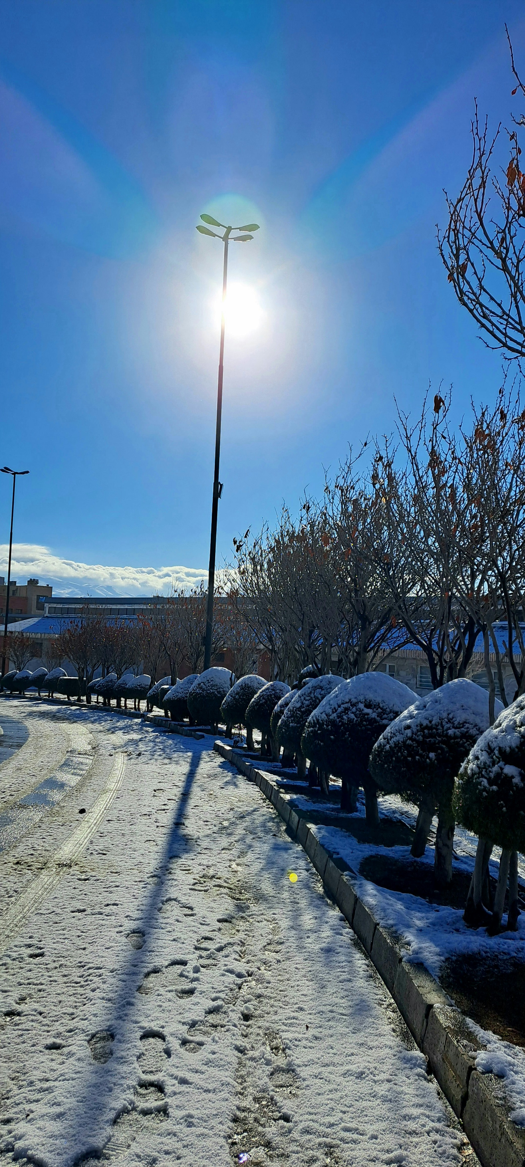 Snow-covered path winds between trimmed, snow-dusted shrubs under a bright sun halo and a tall streetlamp against a clear blue sky.
