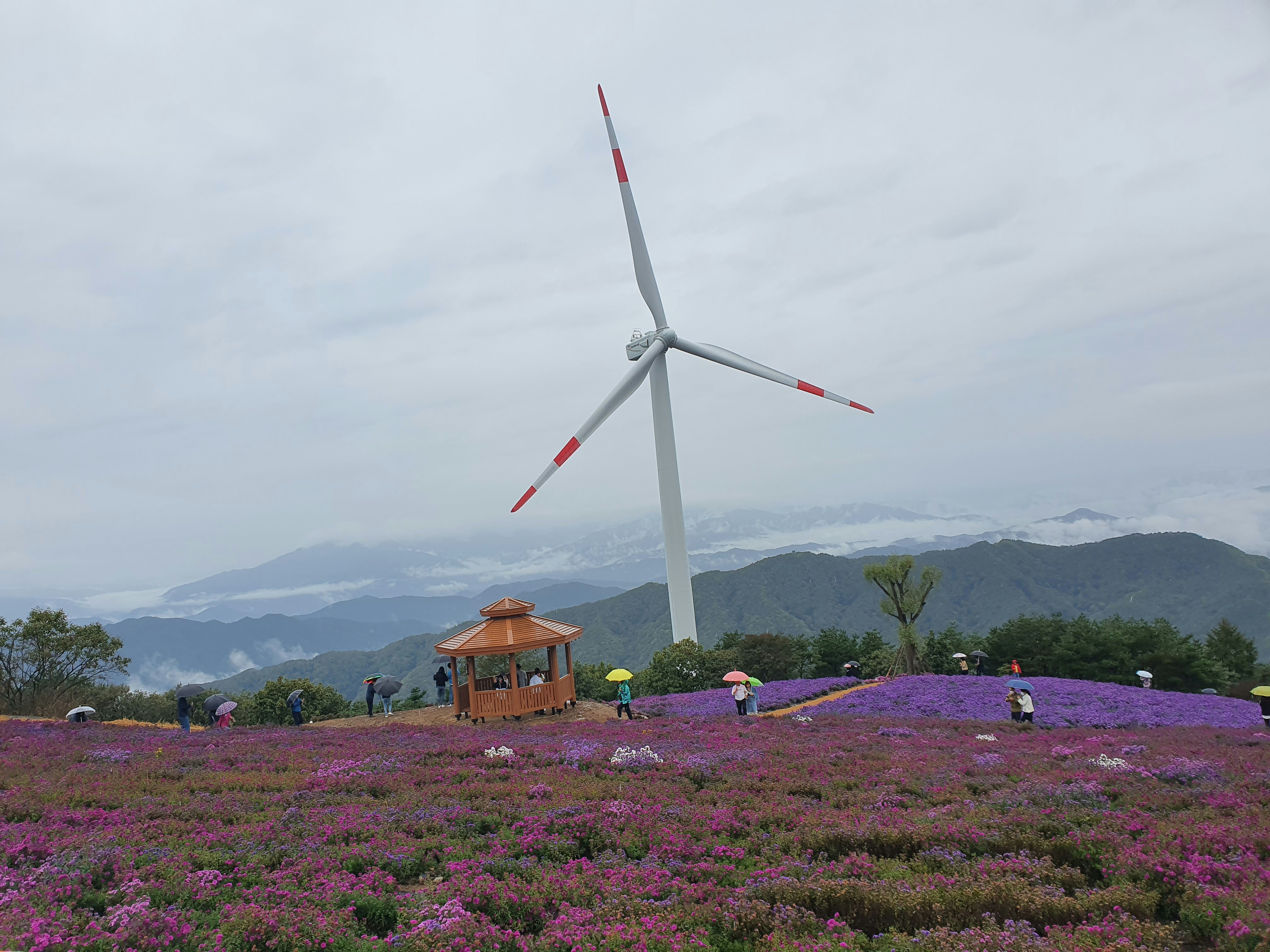 Photo by Kyungsoo KIM with Samsung Galaxy S10