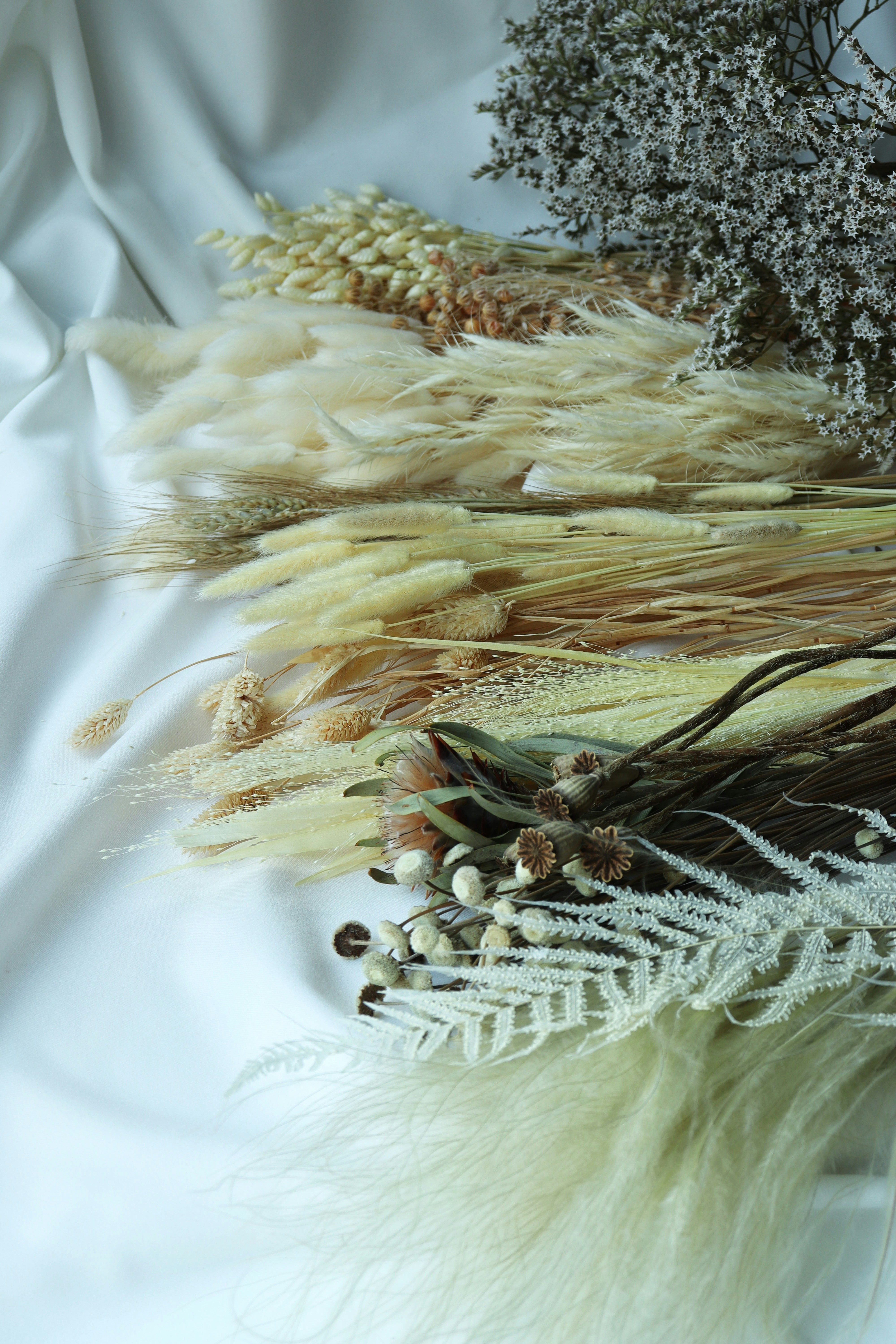a bunch of dried plants sitting on top of a white sheet