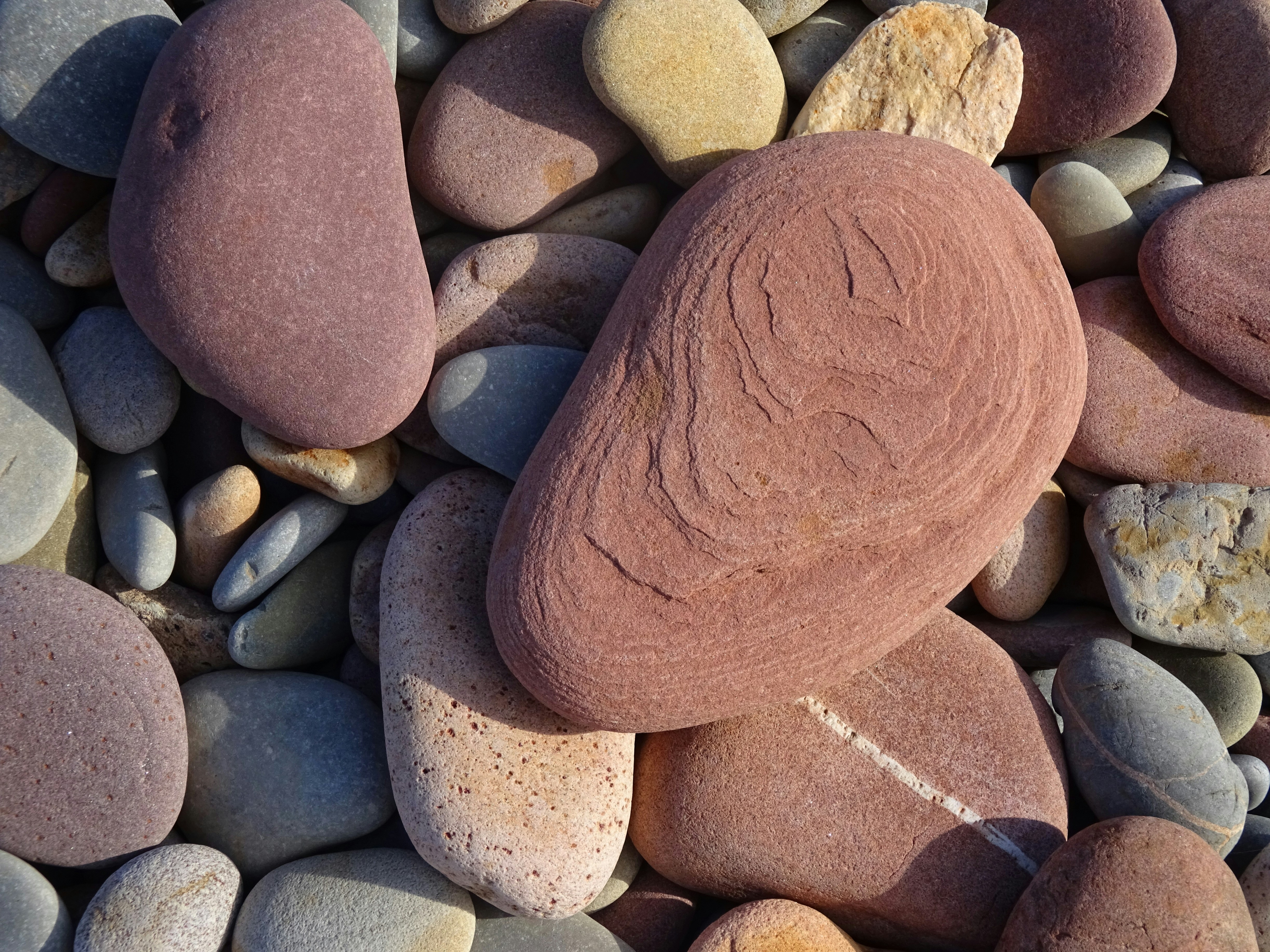 Un primer plano de rocas y guijarros en una playa foto – Imagen de ...