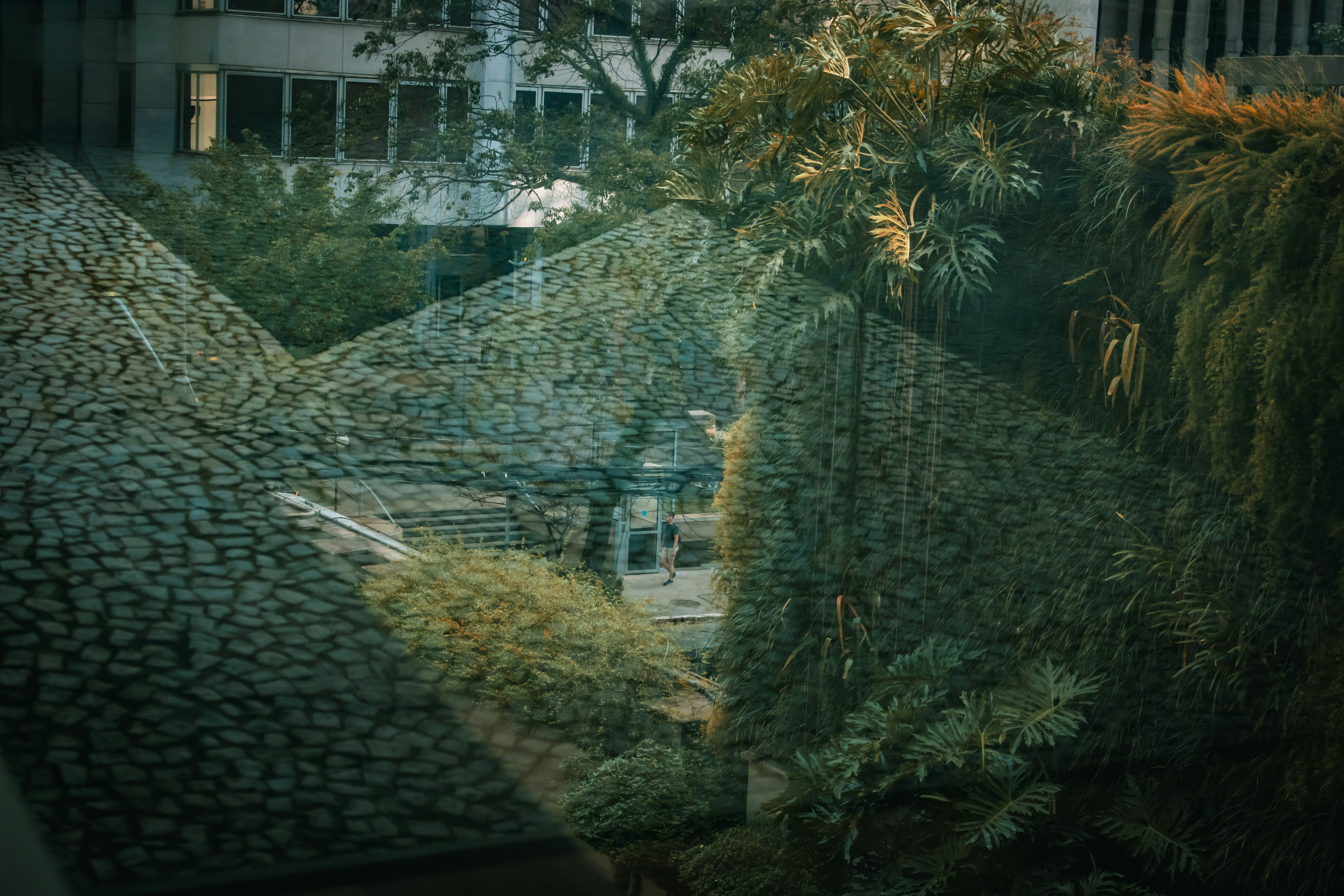 Urban Jungle Reflections