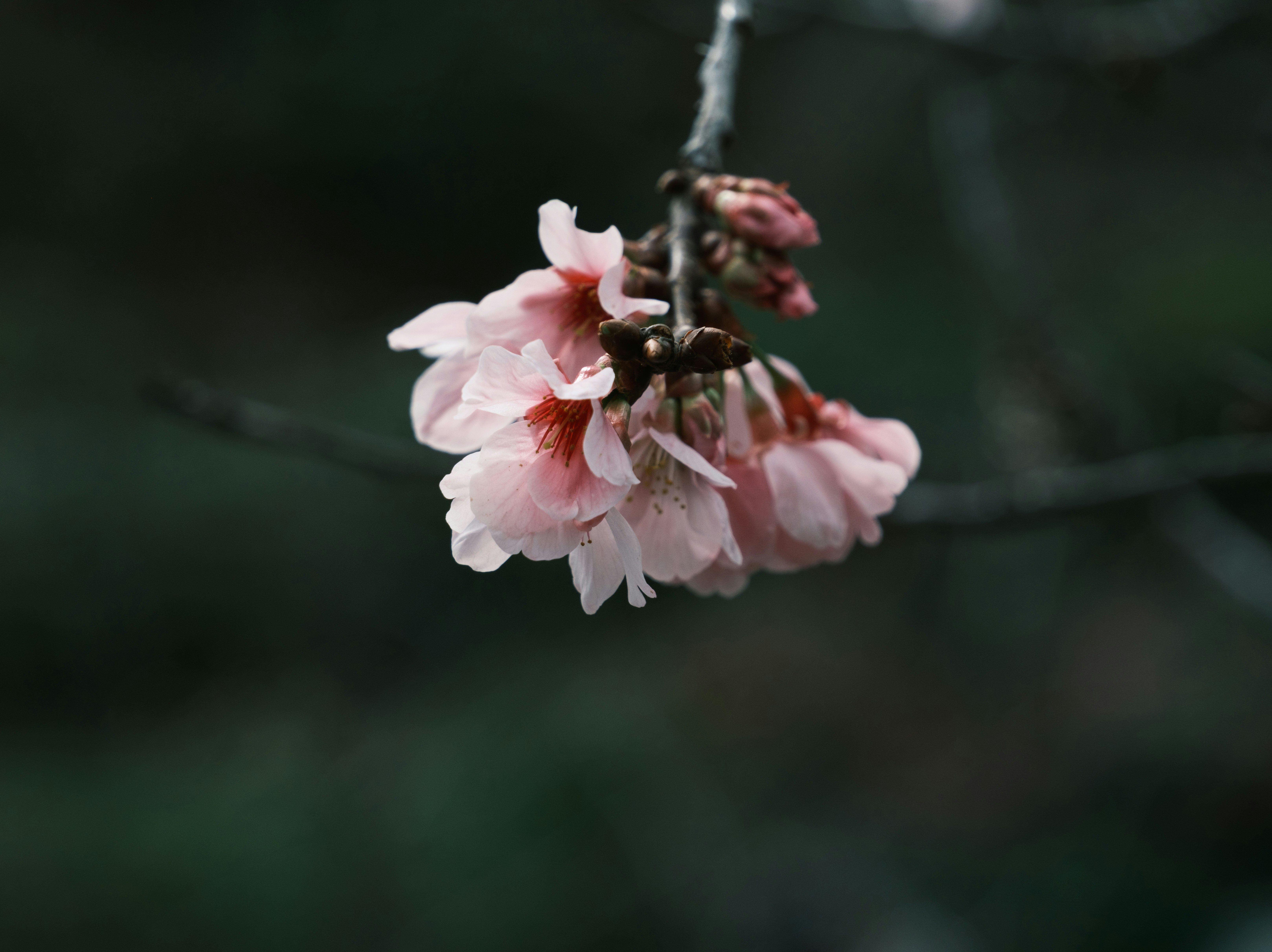 Photo by April Vasquez with Fujifilm X-T5