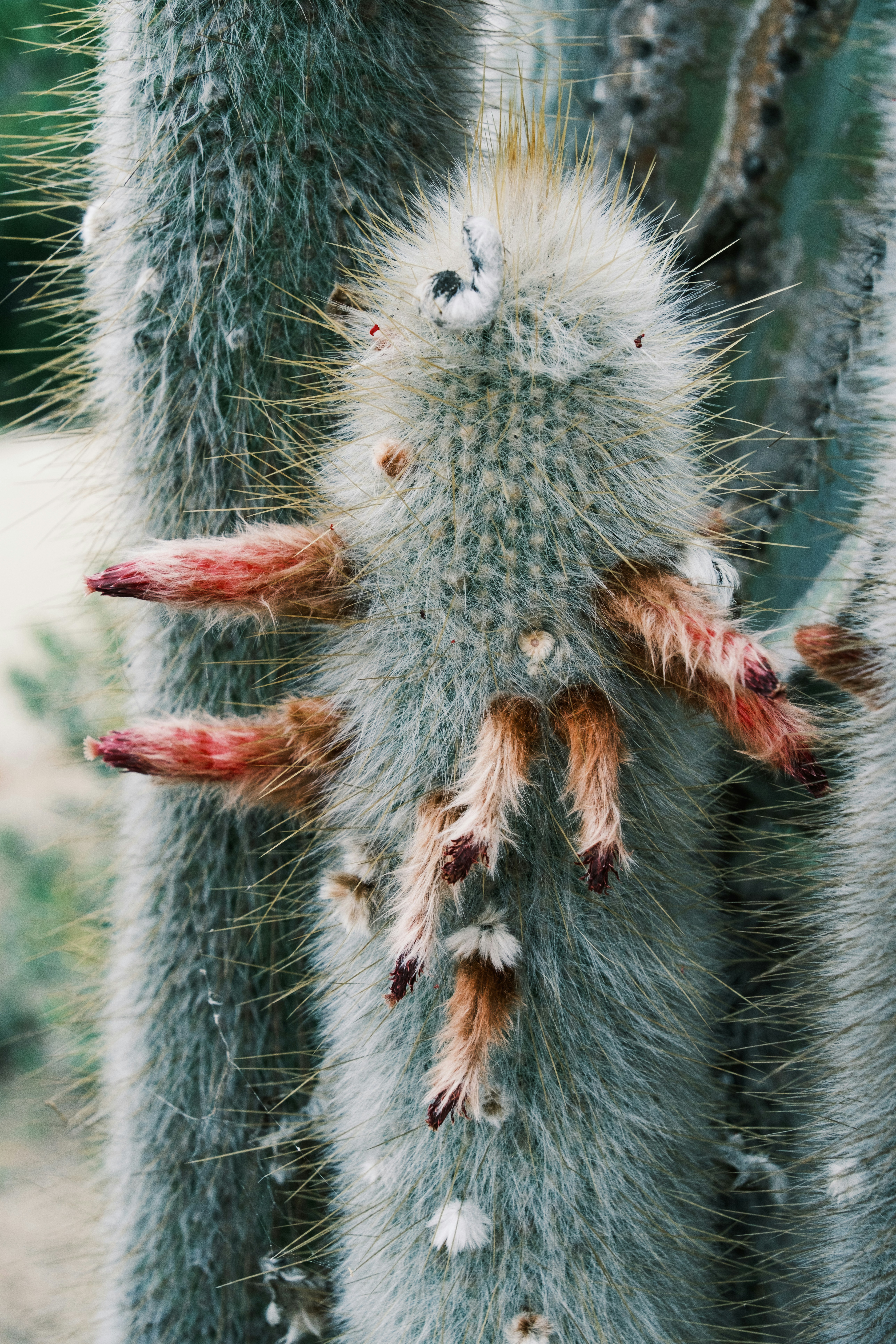 Photo by April Vasquez with Fujifilm X-T5