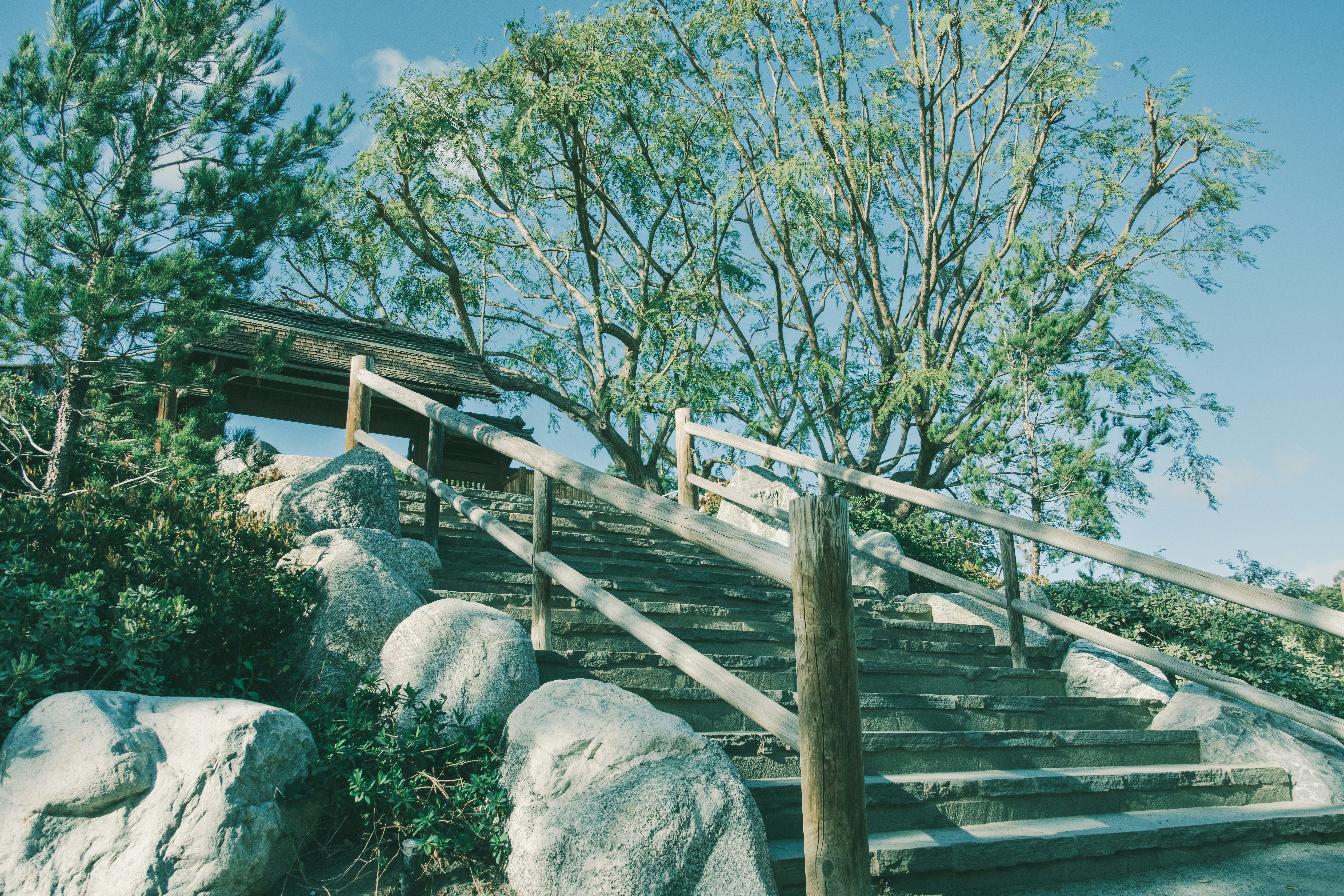 Photo by April Vasquez with Fujifilm X-T5